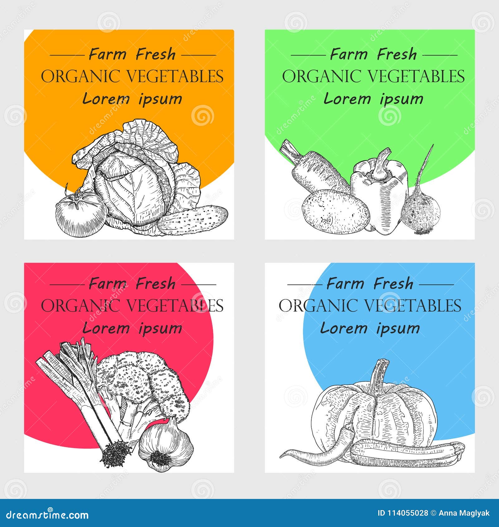 Hand Drawn Vegetables Posters Set. Vector Stock Vector - Illustration ...