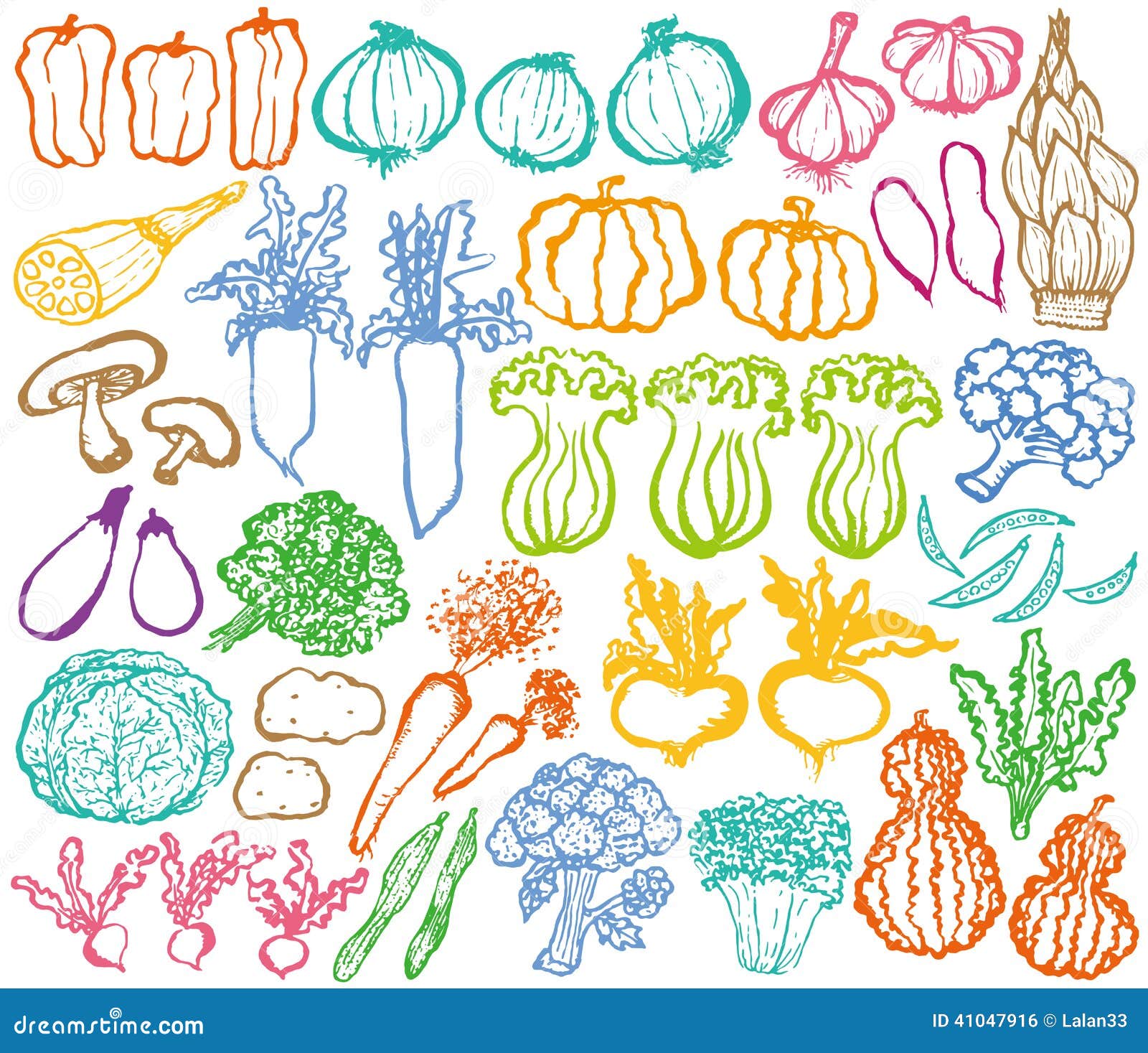 Hand-drawn vegetables. stock vector. Illustration of green - 41047916