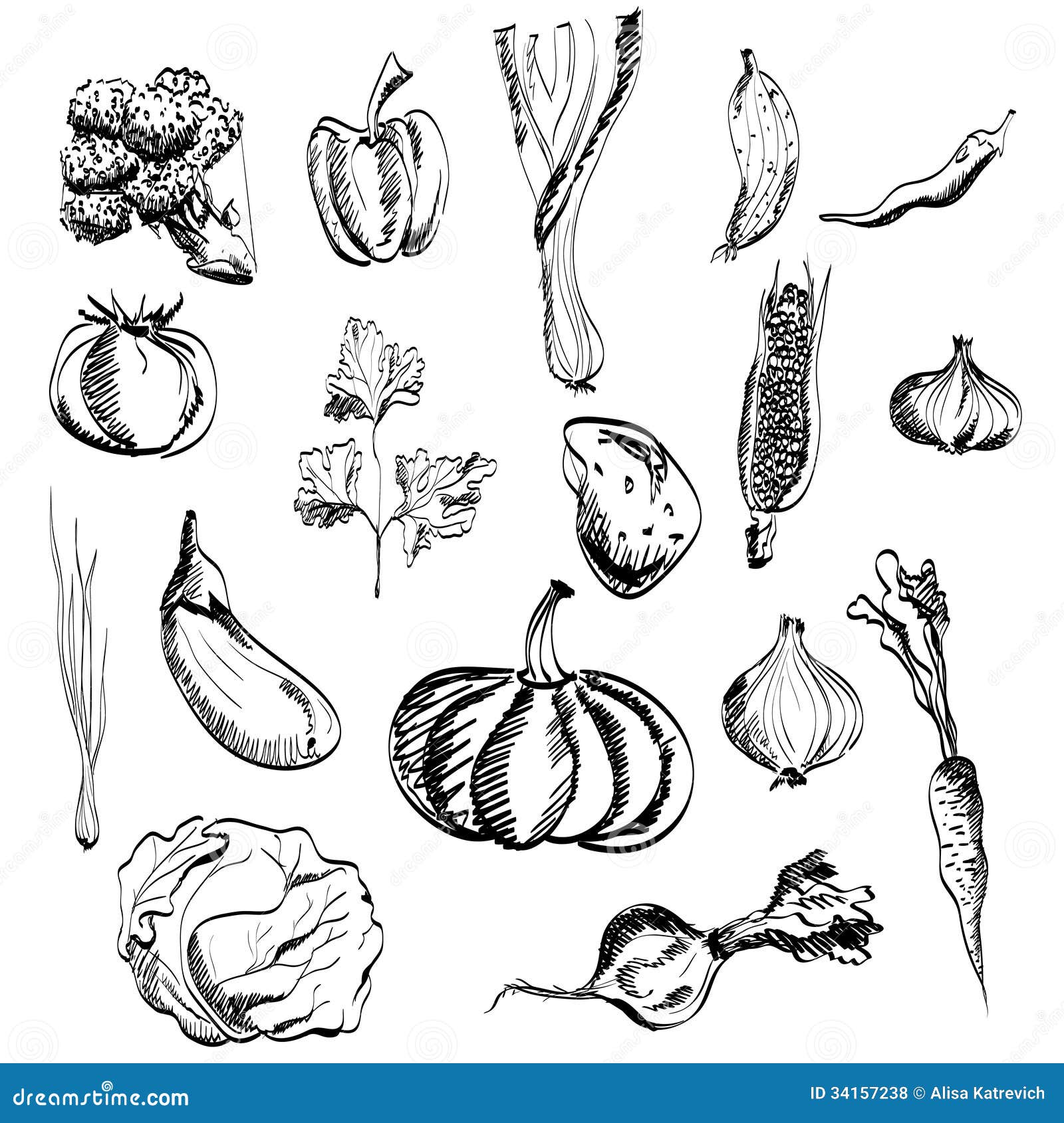 Hand drawn vegetables set stock vector. Illustration of beet - 34157238
