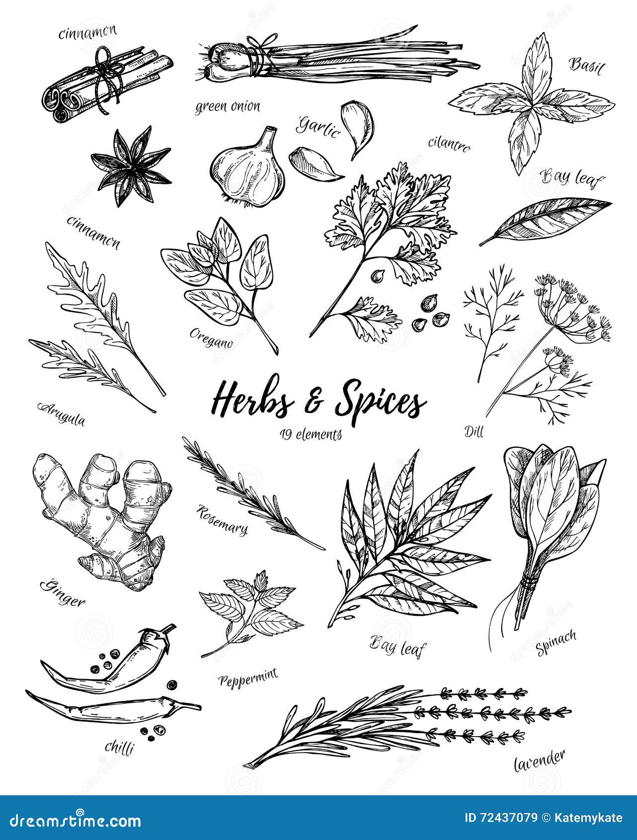 Hand Drawn Vintage Illustration - Herbs and Spices. Vector Stock Vector ... Hand Drawn Vintage Illustration - Herbs and Spices. Vector Stock Vector ...