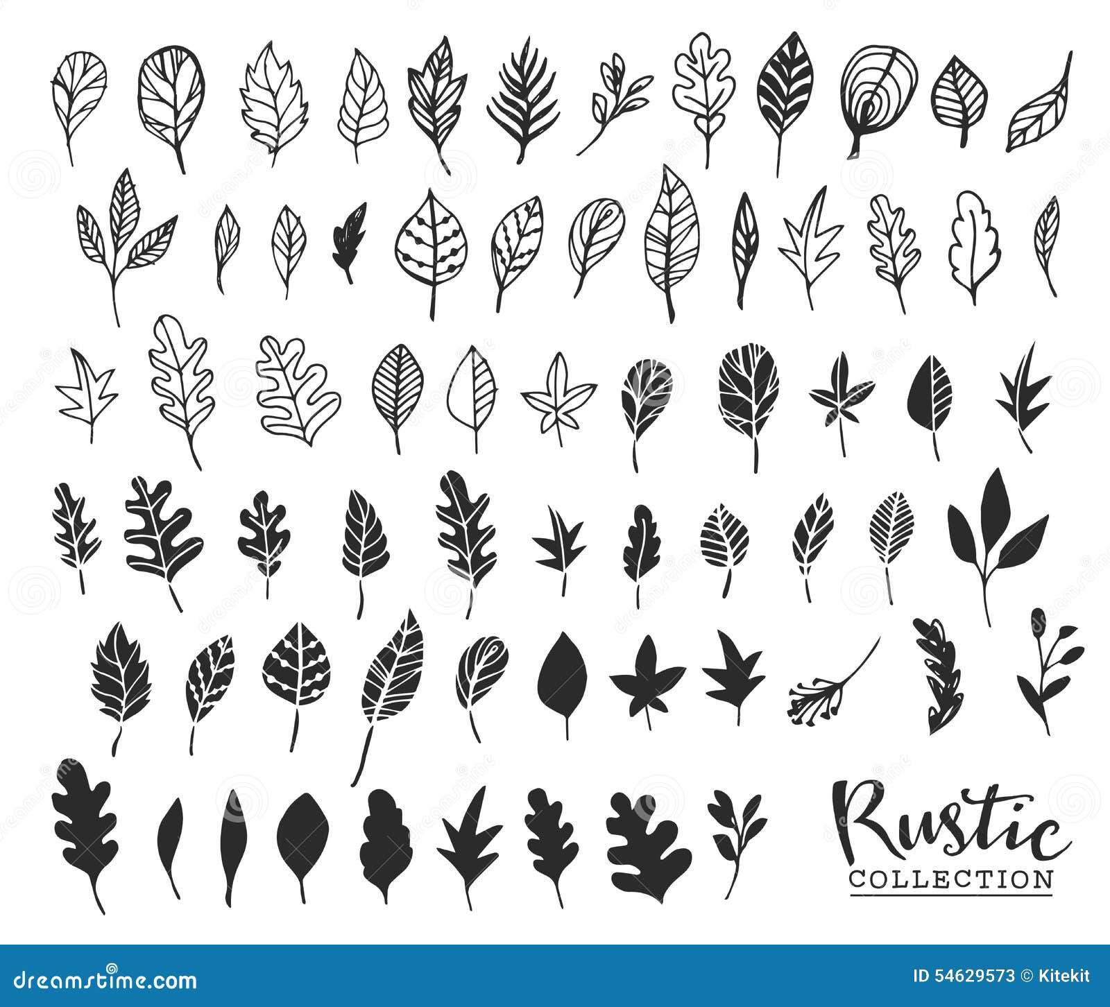 Hand Drawn Vintage Leaves. Rustic Decorative Vector Design Stock Vector ...