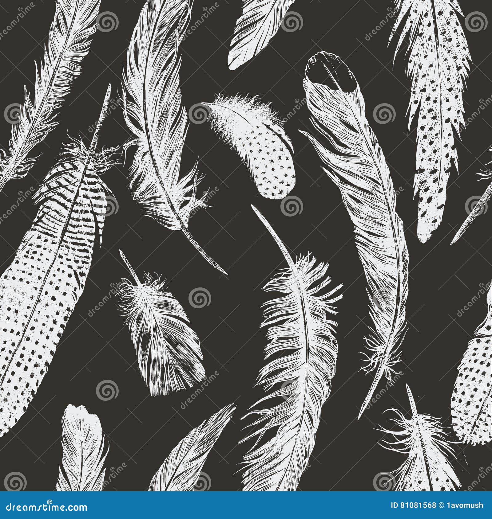 Hand Drawn Vintage Pattern with Feathers. Vector. Stock Vector ...