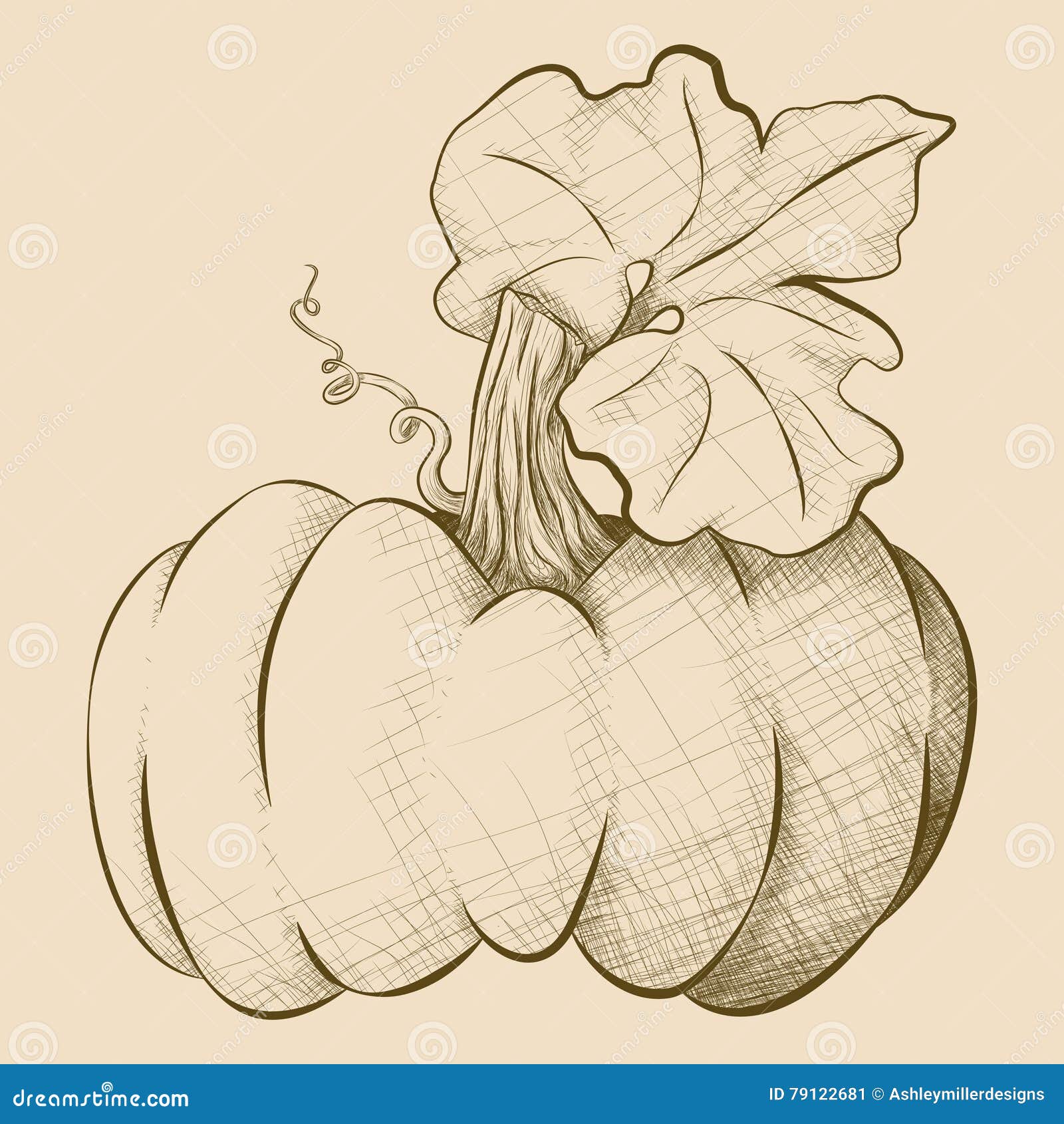 Hand-Drawn Vintage Style Lumpy Pumpkin Stock Vector - Illustration of ...