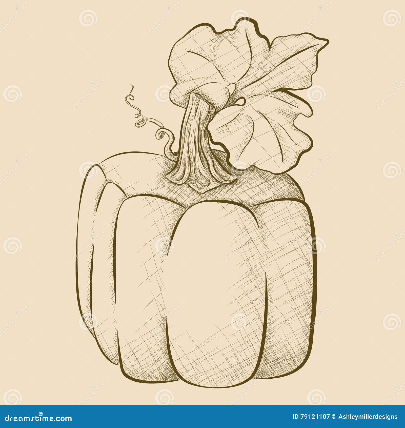 Hand-Drawn Vintage Style Square Pumpkin Stock Vector - Illustration of ...