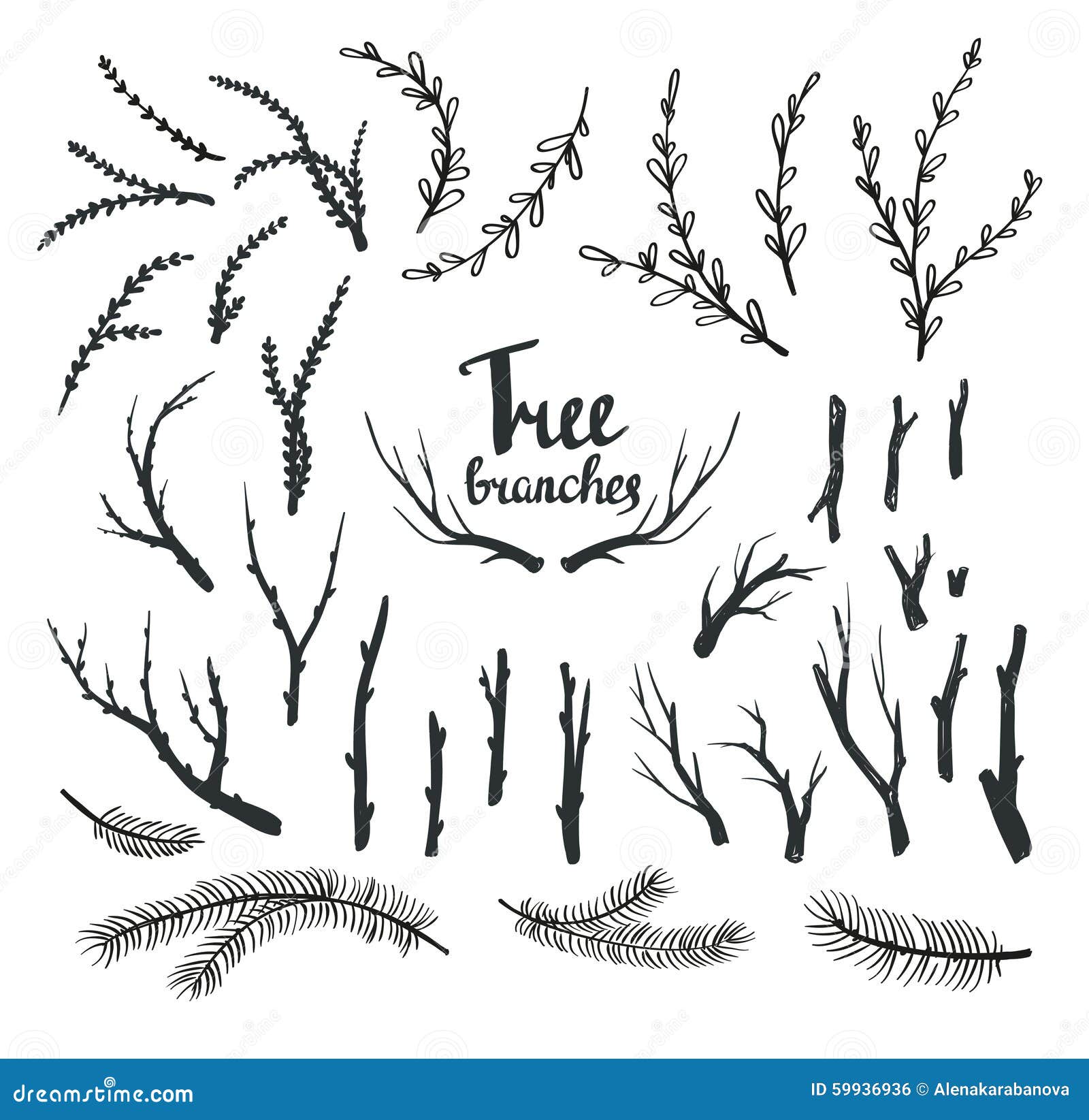 Hand Drawn Vintage Tree Branches . Stock Vector - Illustration of hand ...