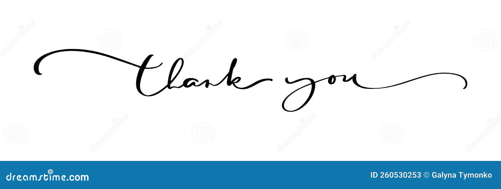 Hand Drawn Vintage Vector Text Thank You. Calligraphy Lettering ...