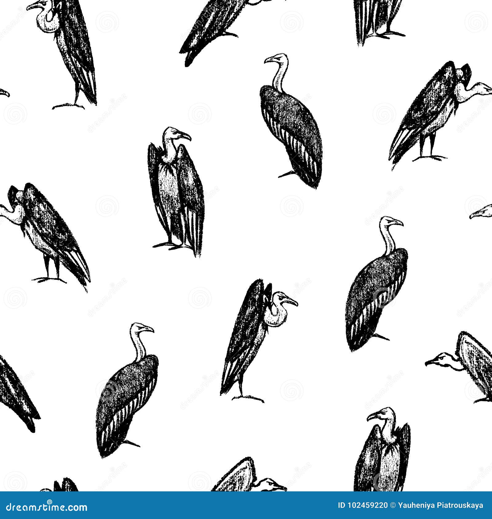 Hand Drawn Vultures Pattern Stock Vector - Illustration of nature ...
