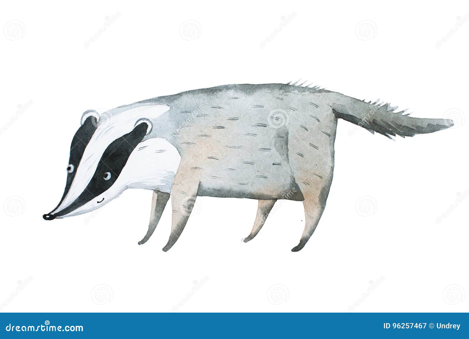 Hand Drawn with Watercolor Badger Aquarelle Illustration Stock ...