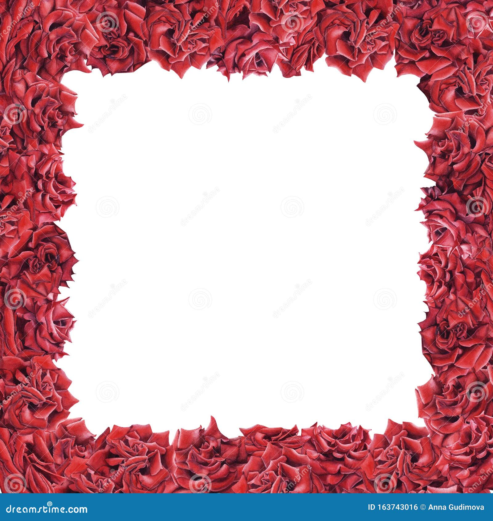 Hand Drawn Watercolor Border Frame with Red Roses Pattern Isolated on ...