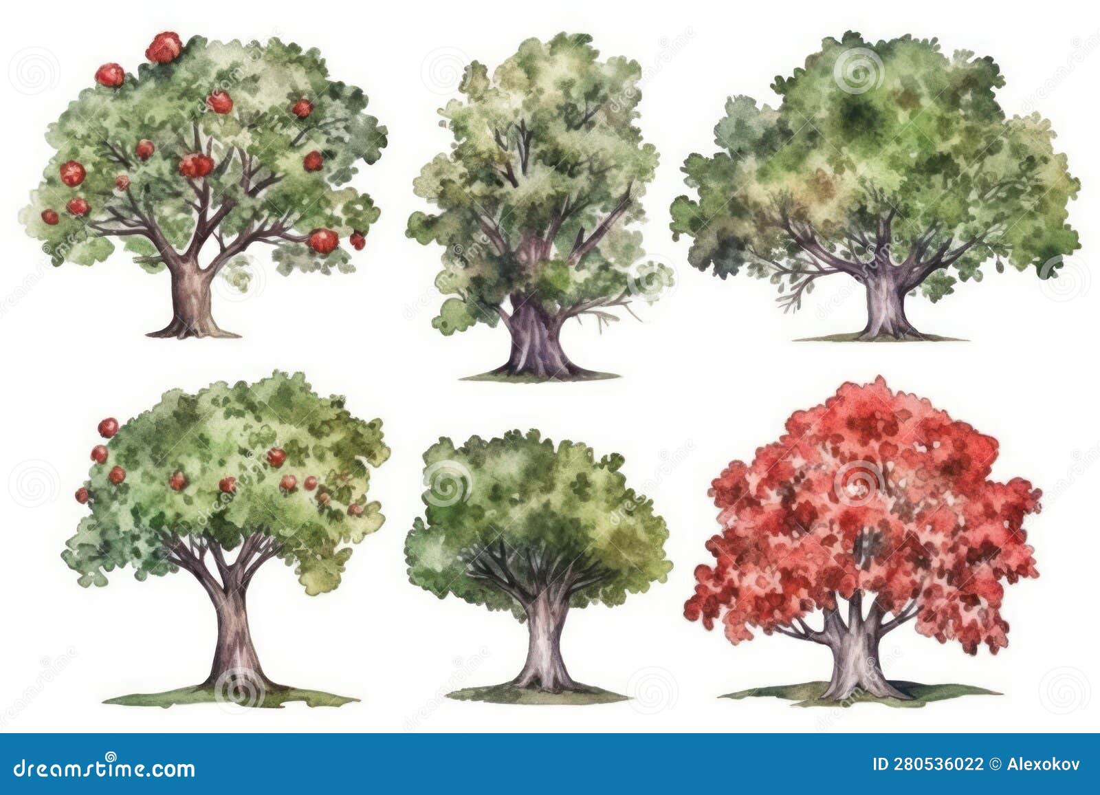 Hand-Drawn Watercolor Collection of Hawthorn Trees in a Forest . Stock ...