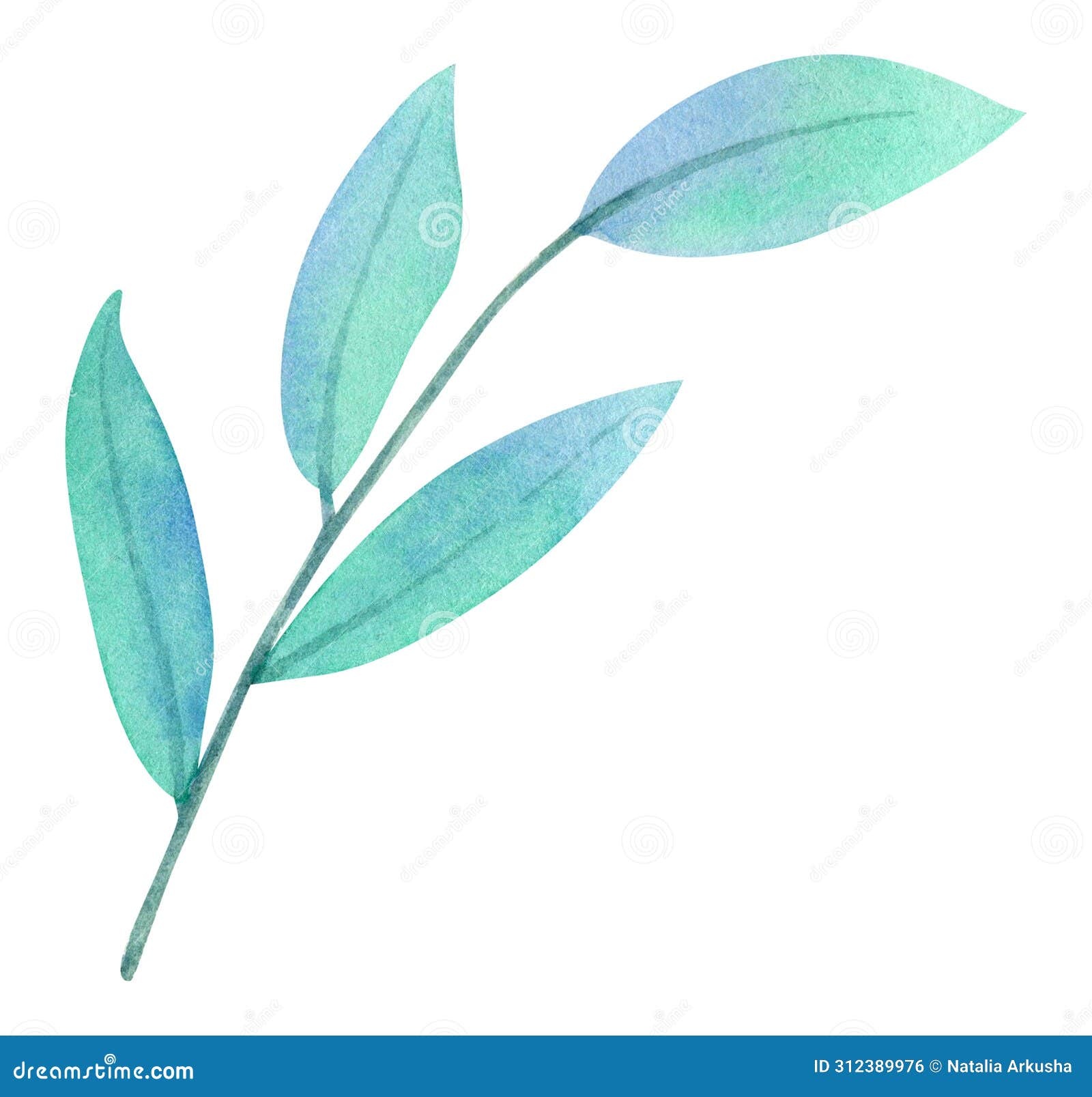 Hand Drawn Watercolor Cute Branch Stock Illustration - Illustration of ...