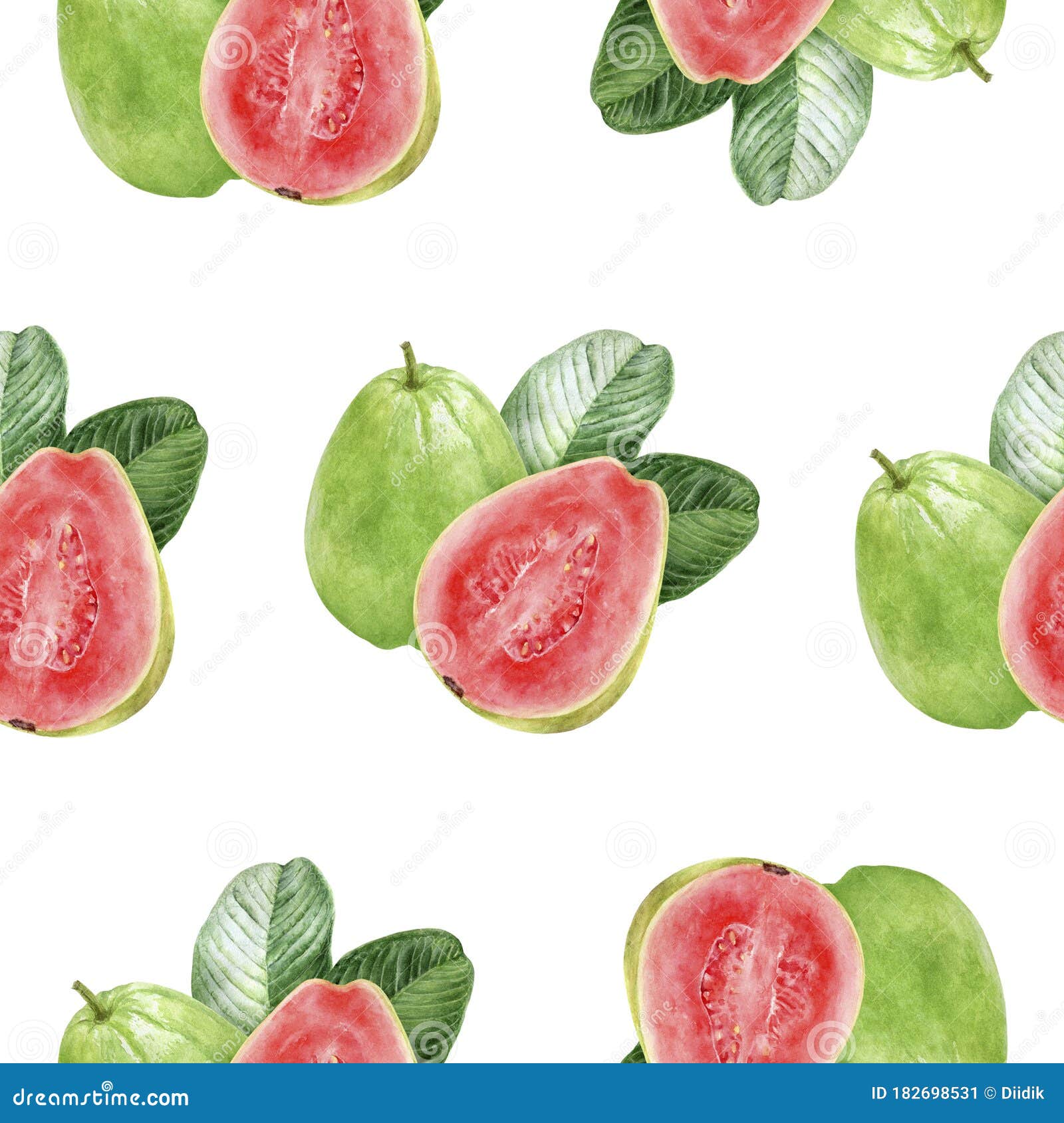 Hand Drawn Watercolor Guava Hand Drawn Watercolor Illustration ...