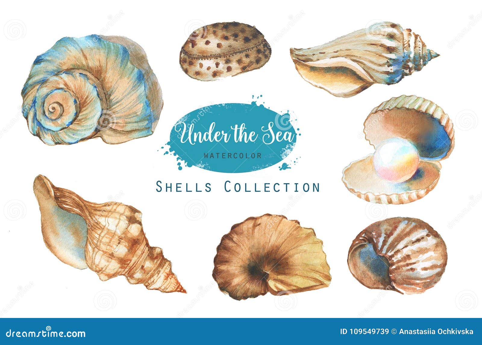 Set of marine objects stock illustration. Illustration of shell - 109549739