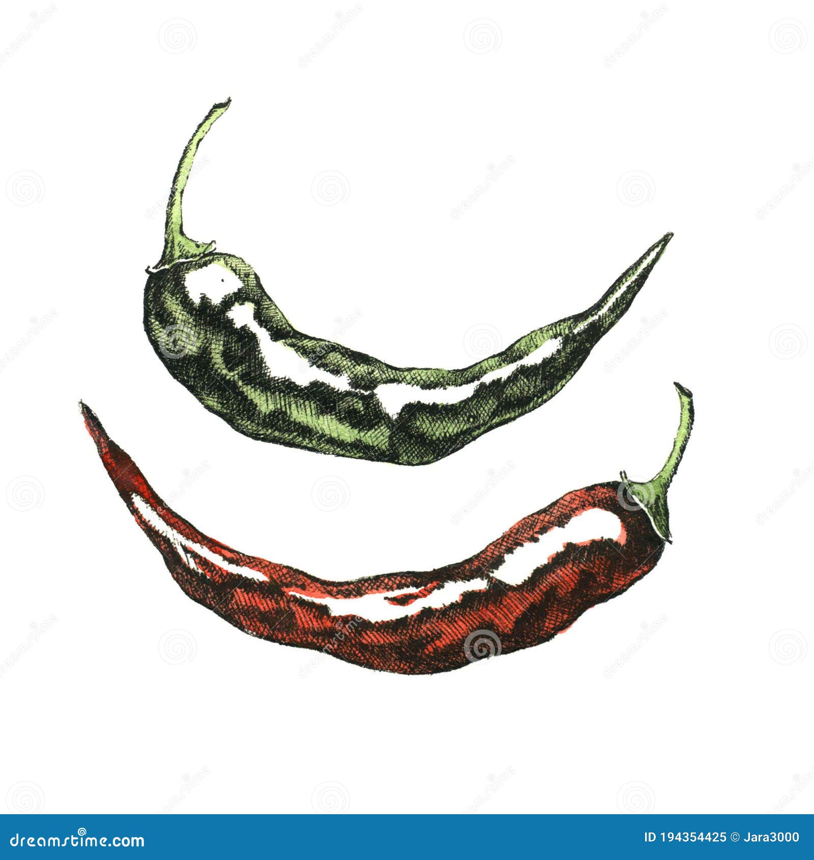 Hand-drawn Watercolor Image of Hot Pepper. Stock Illustration ...