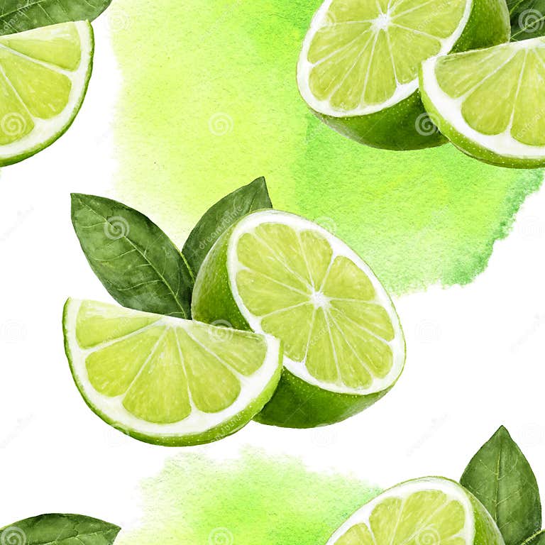 Hand Drawn Watercolor Lime Seamless Pattern with Watercolor Spine on ... Hand Drawn Watercolor Lime Seamless Pattern with Watercolor Spine on ...