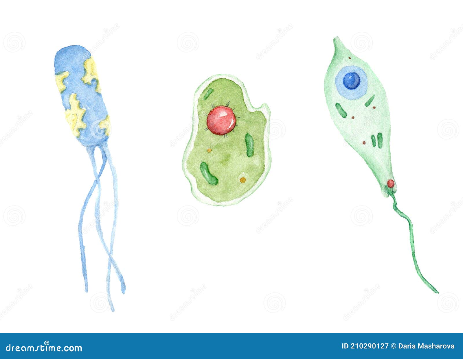Hand Drawn Watercolor Multicolored Various Bacteria. Abstract ...