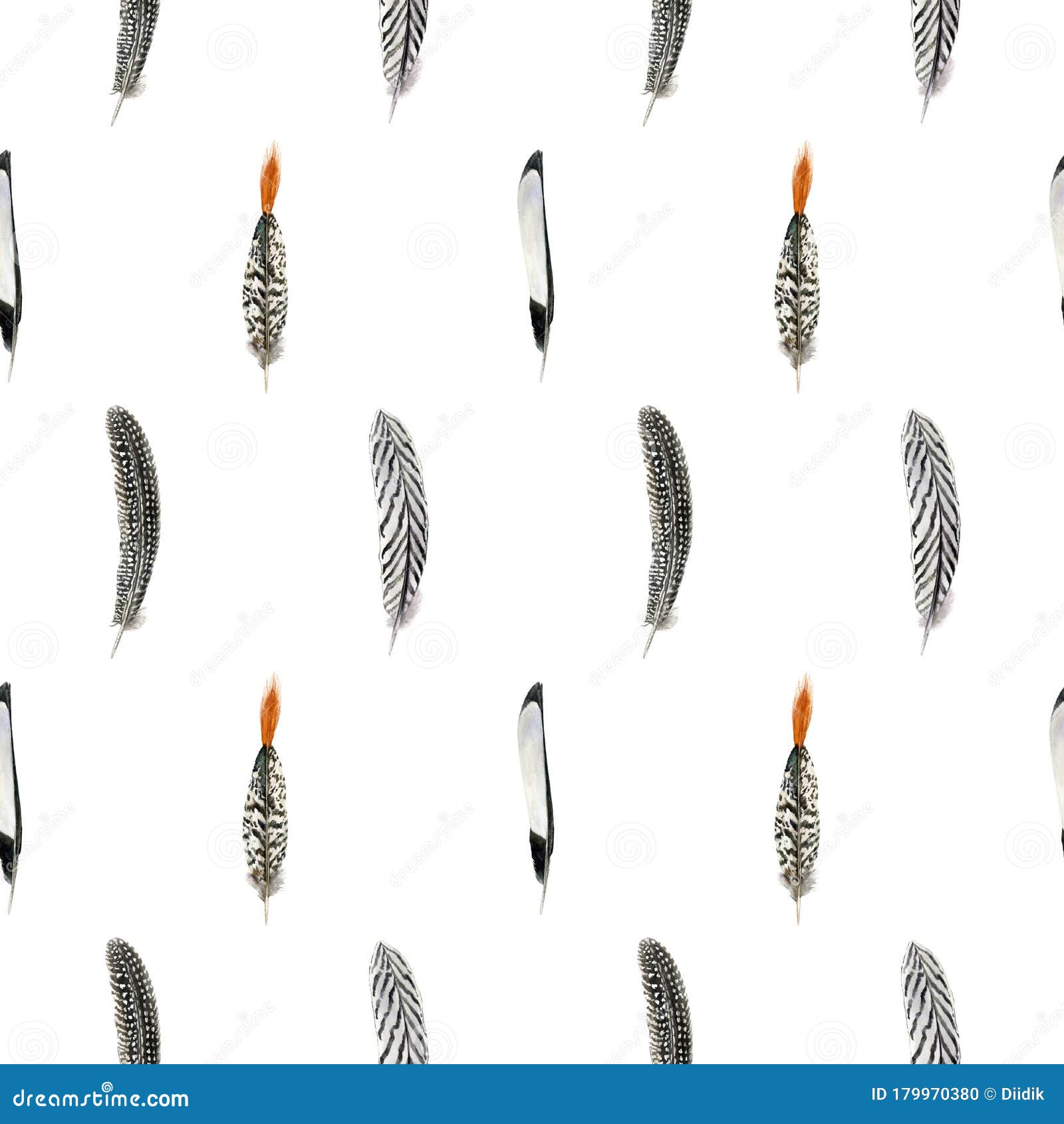 Hand Drawn Watercolor Ritual Meditation Feathers Hand Drawn Watercolor ...