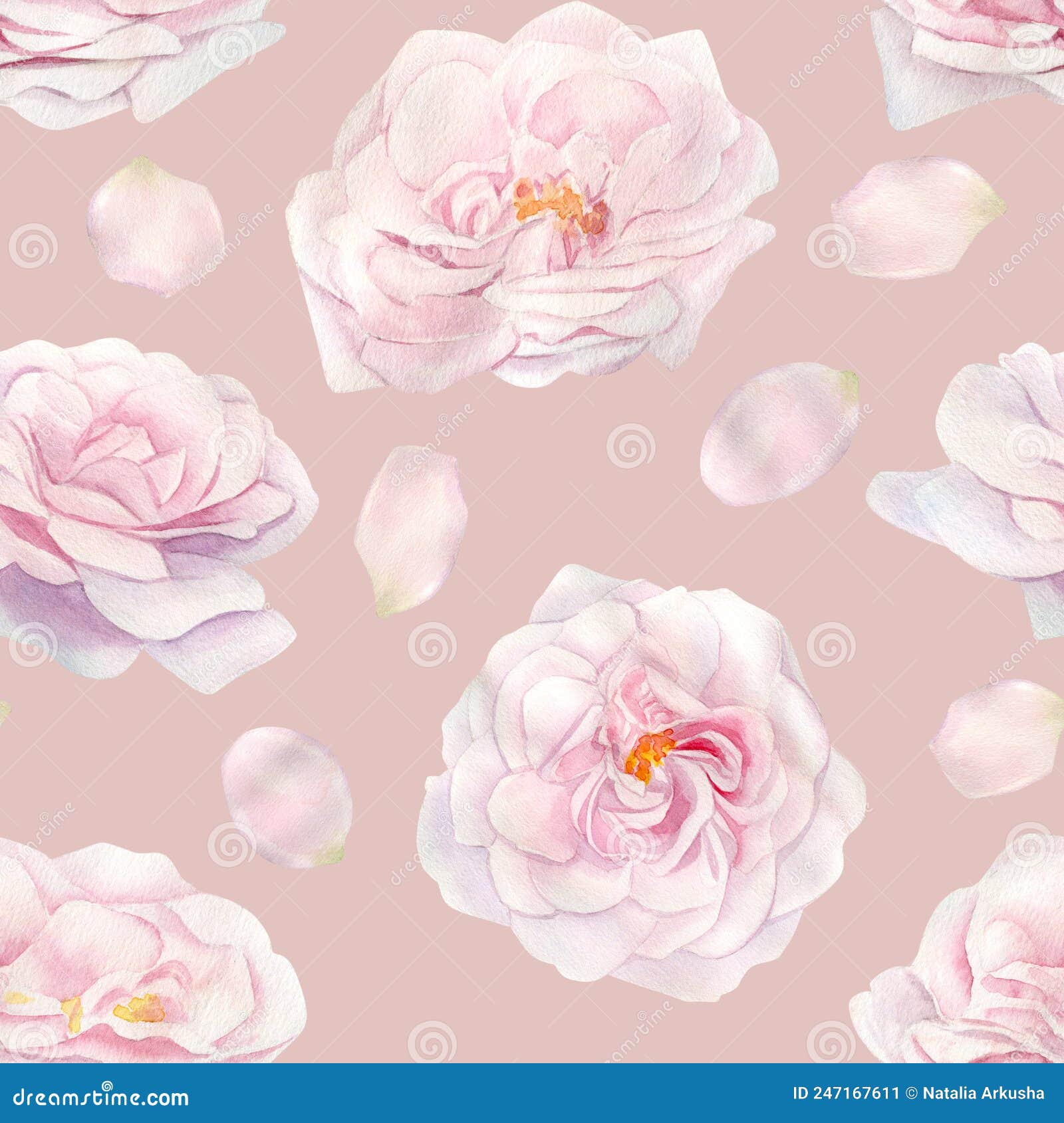 Hand Drawn Watercolor Seamless Pattern with Pink Rose Flowers. Stock ...