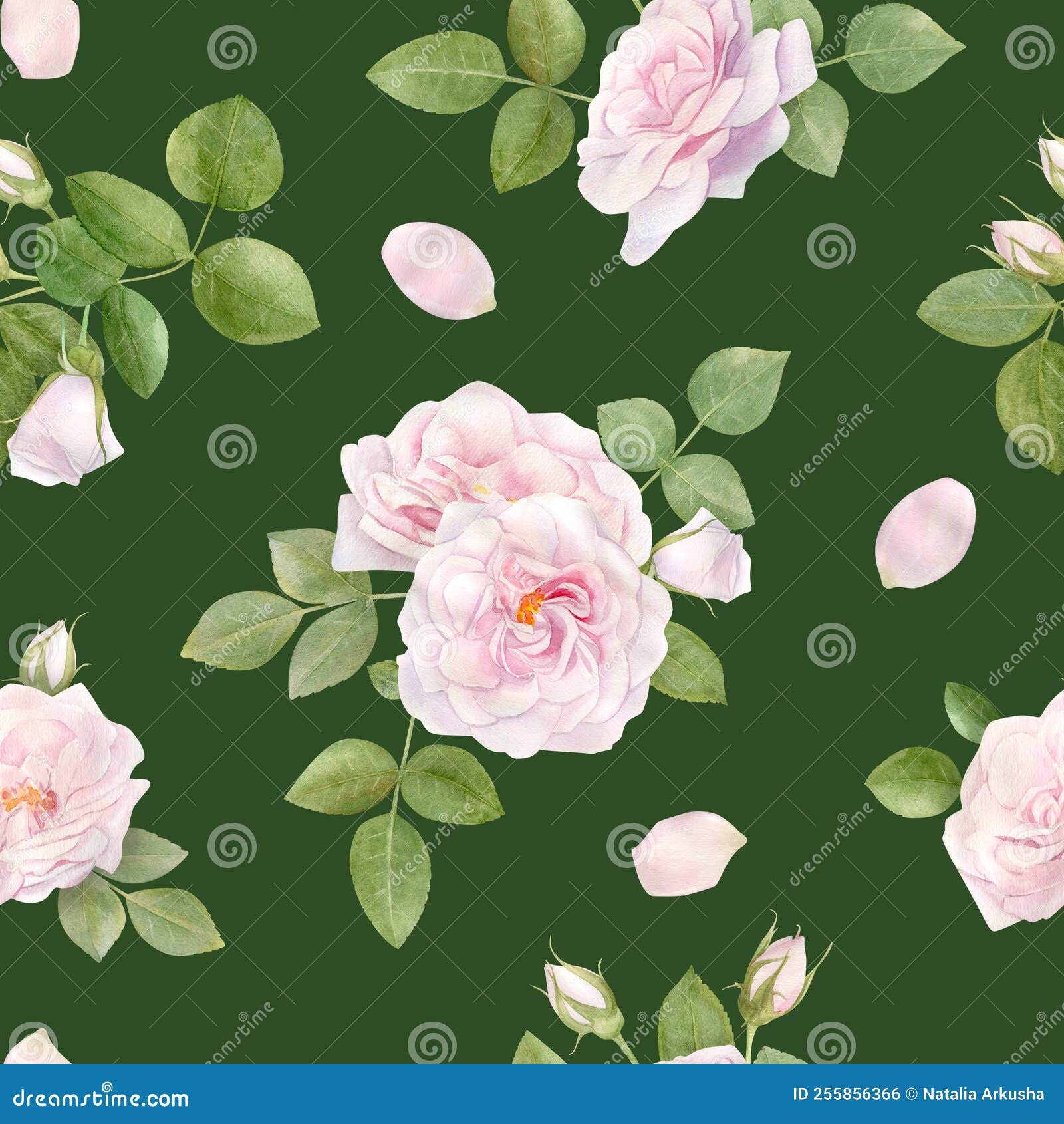 Hand Drawn Watercolor Seamless Pattern with Pink Rose Flowers Stock ...