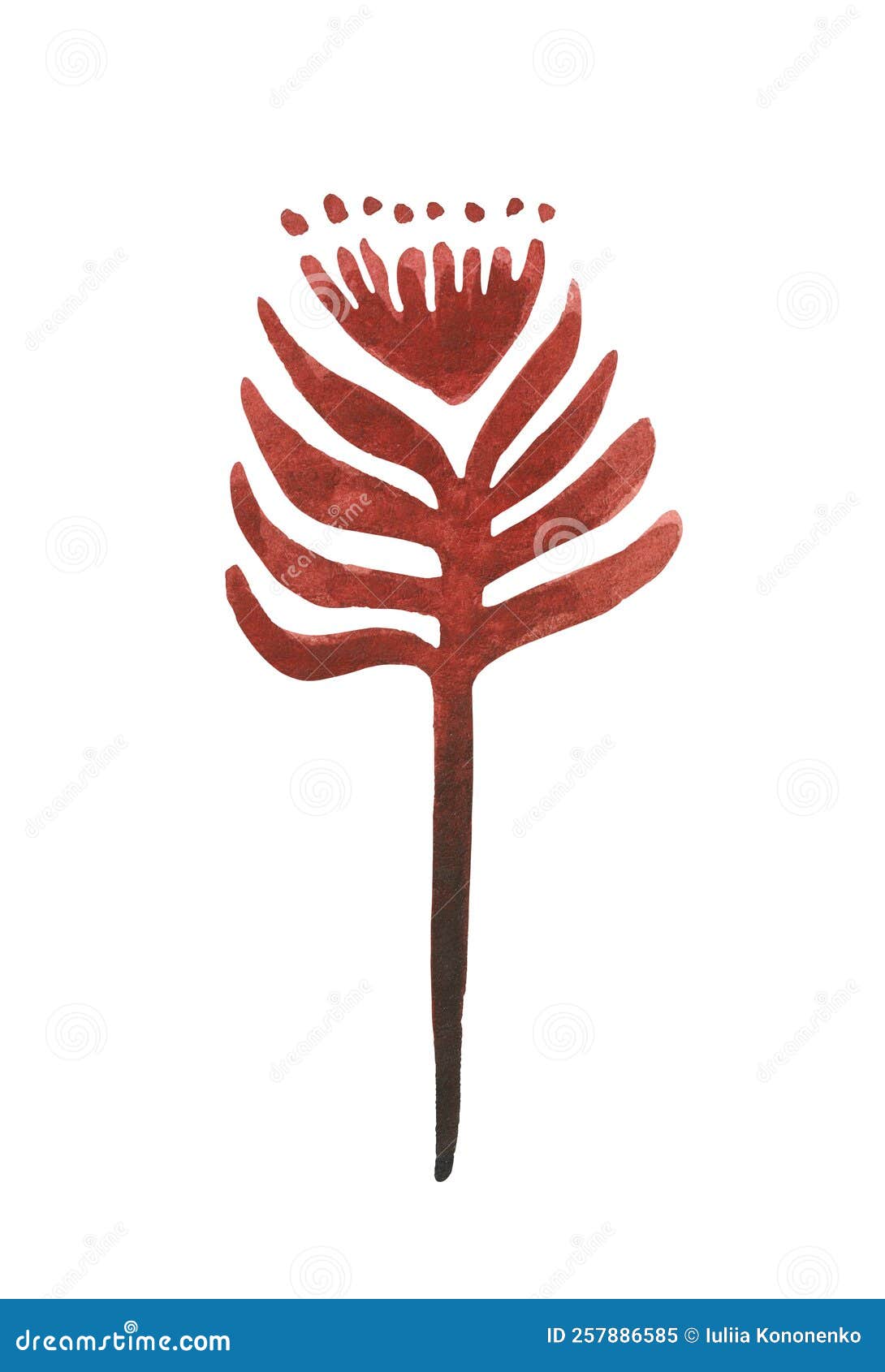 Hand Drawn Watercolor Stylized Dried Flower Stock Image - Image of ... Hand Drawn Watercolor Stylized Dried Flower Stock Image - Image of ...