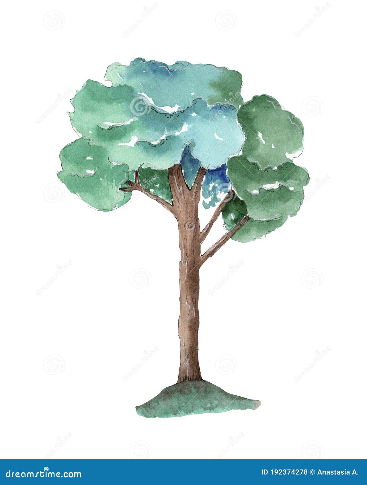 Hand Drawn Watercolor Tree Illustration Stock Illustration ...