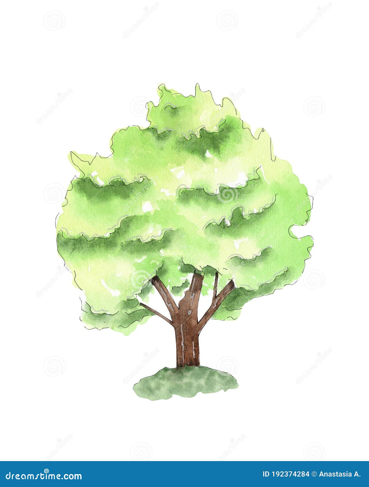 Hand Drawn Watercolor Tree Illustration Stock Illustration ...