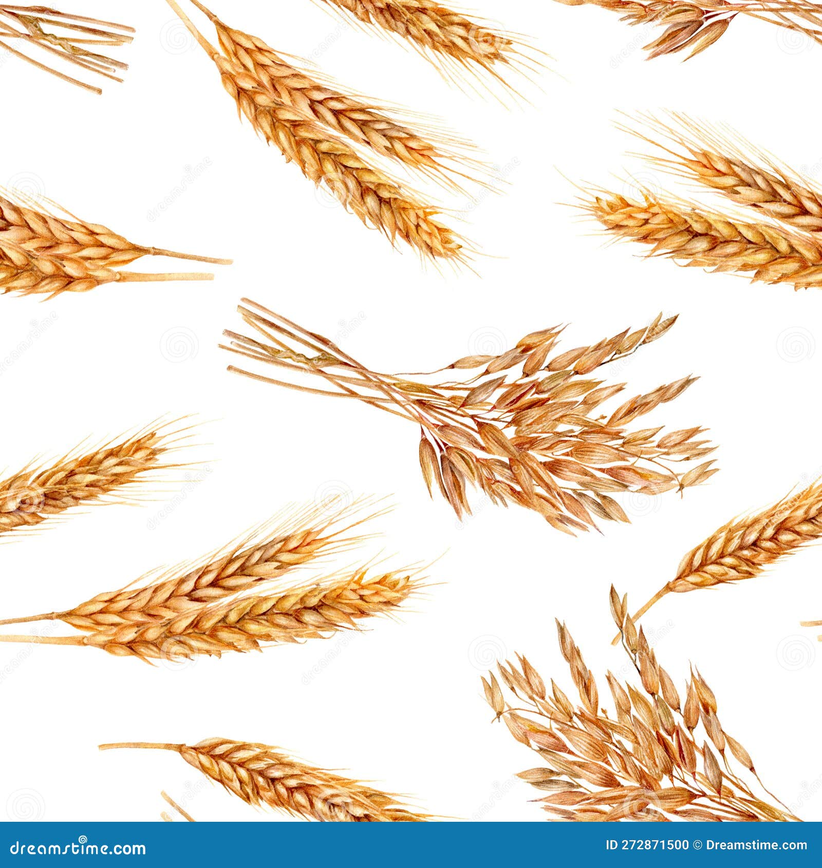 Hand-drawn Watercolor Illustration of Wheat and Oats in an Seamless ...