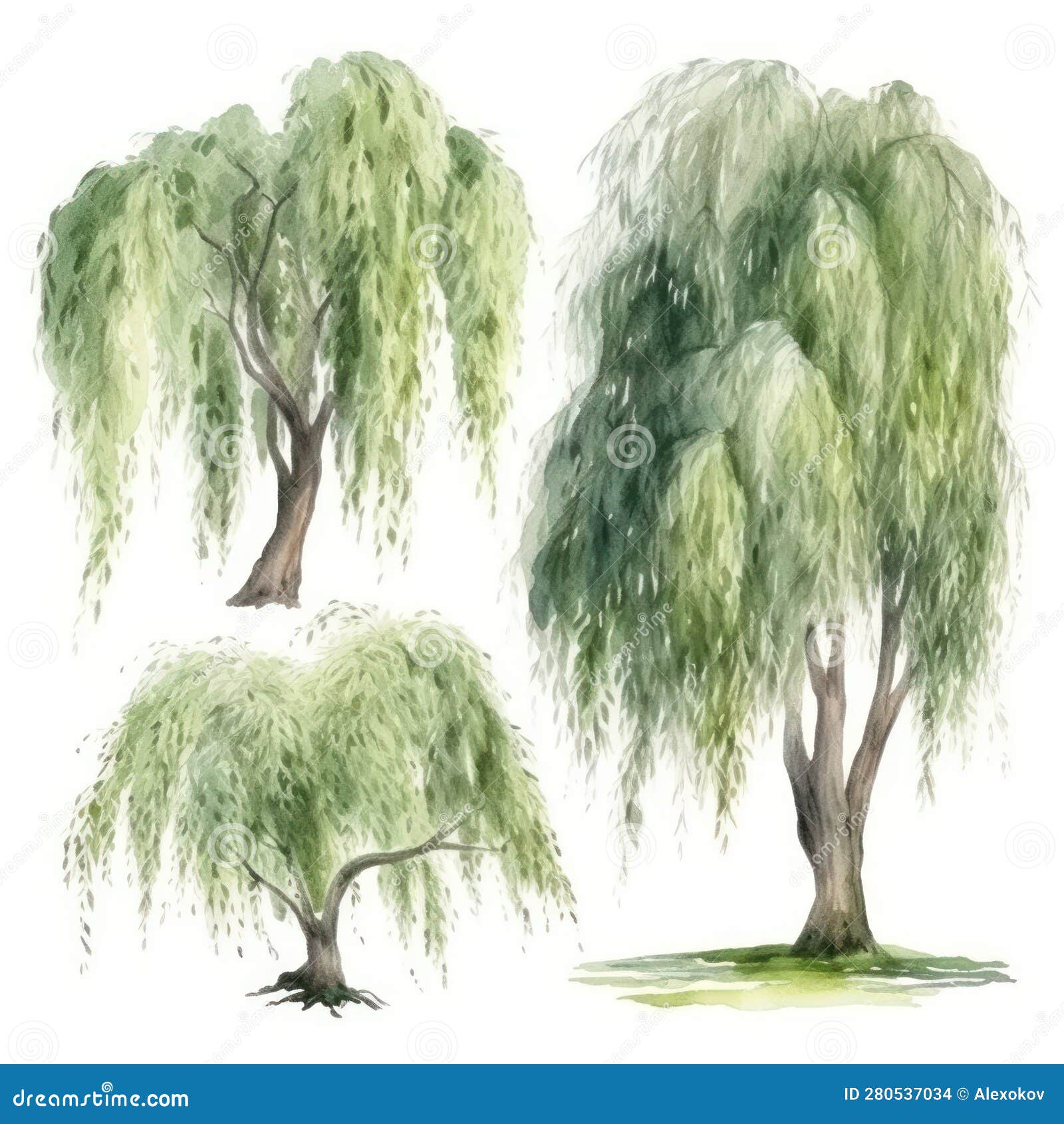 Hand-Drawn Watercolor Willow Trees Collection: a Forest of Willow Trees ...