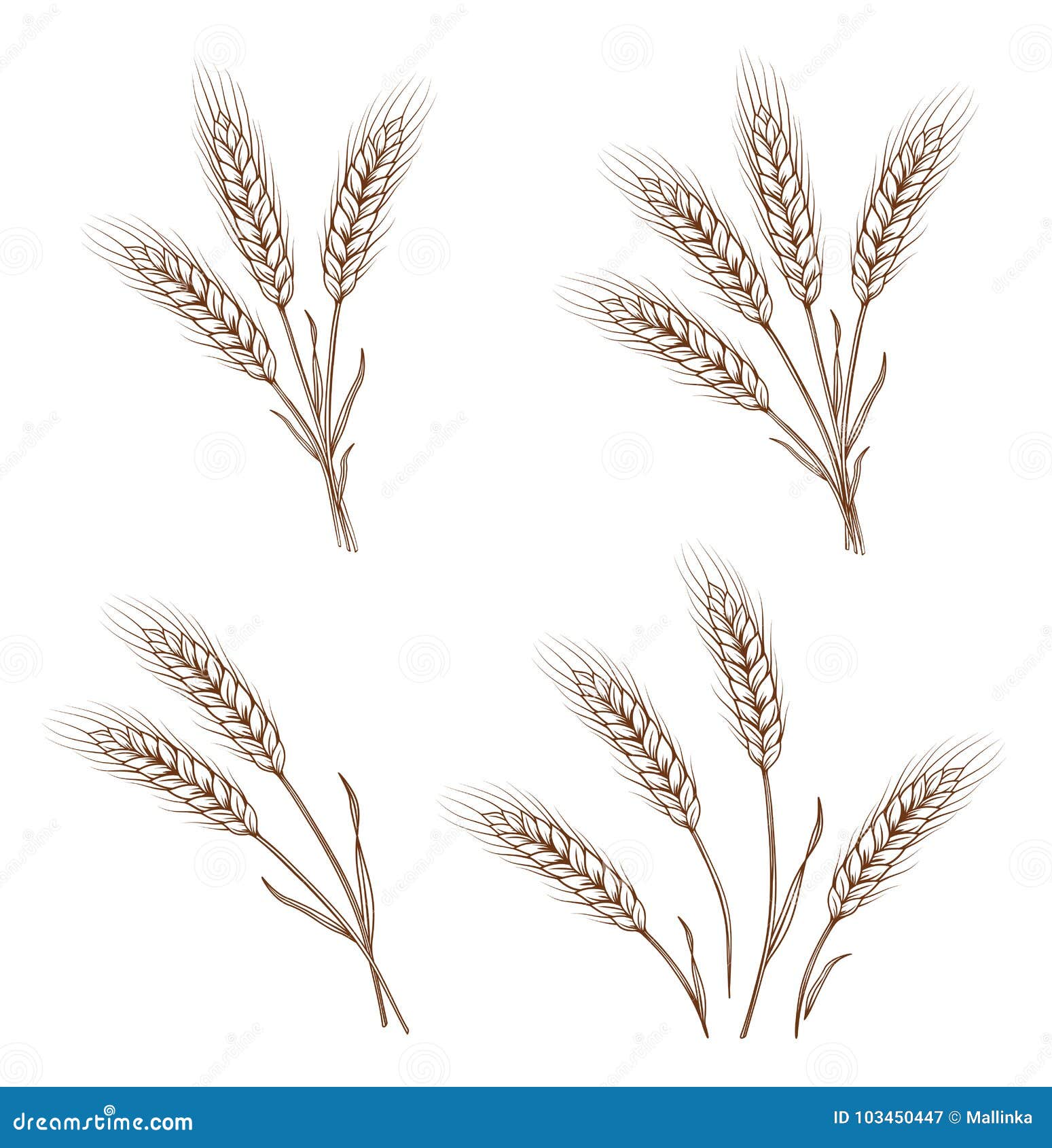 Hand Drawn Wheat Ears and Sheaves Stock Vector - Illustration of grain ...