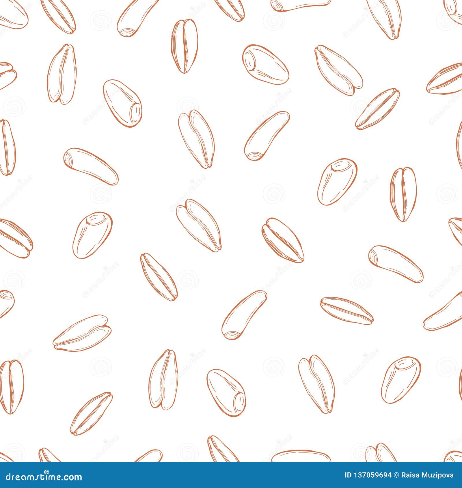 Hand drawn wheat seeds. stock vector. Illustration of grain - 137059694