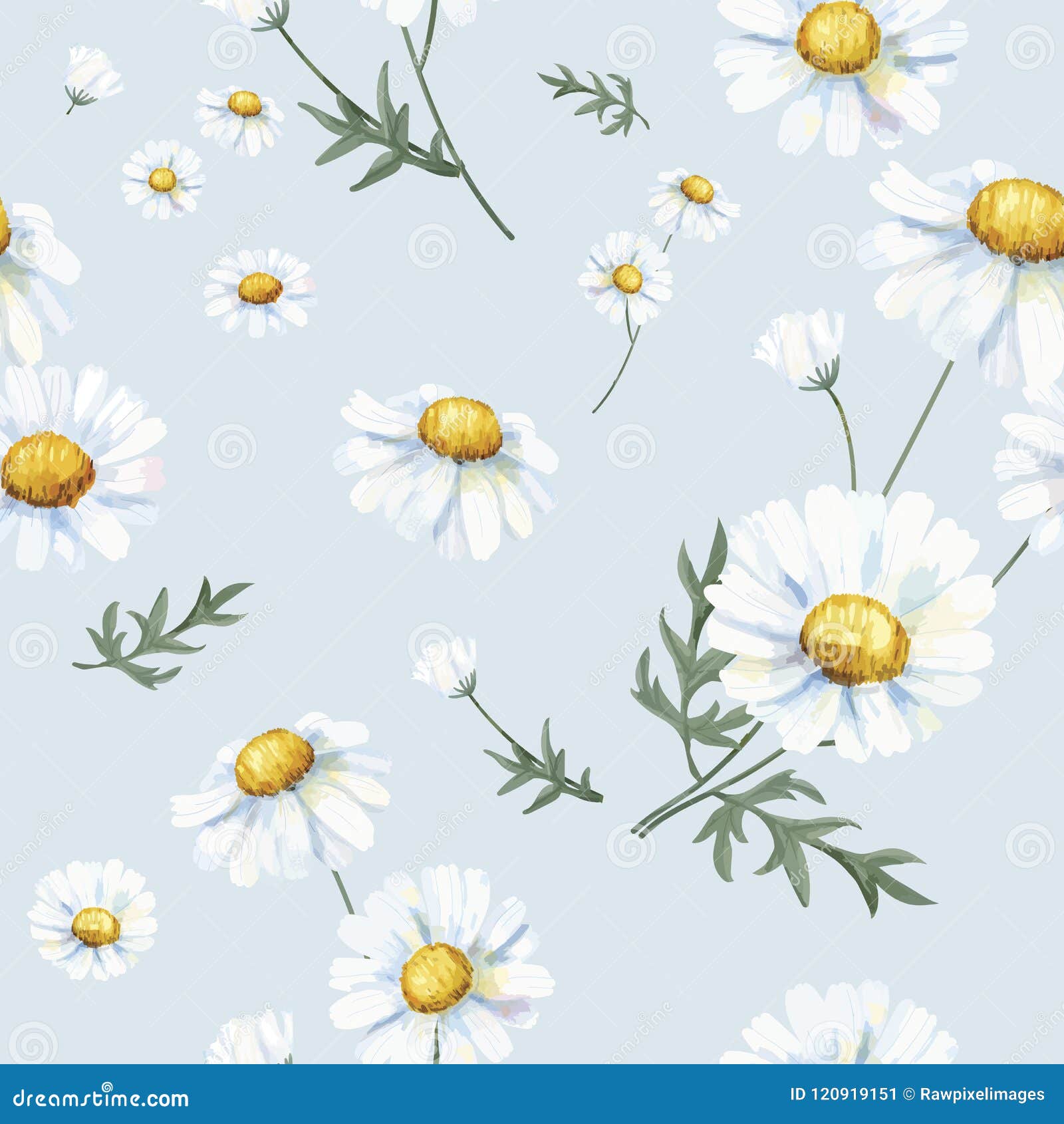 Common Daisy , Hand Draw Sketch Vector. | CartoonDealer.com #114954407