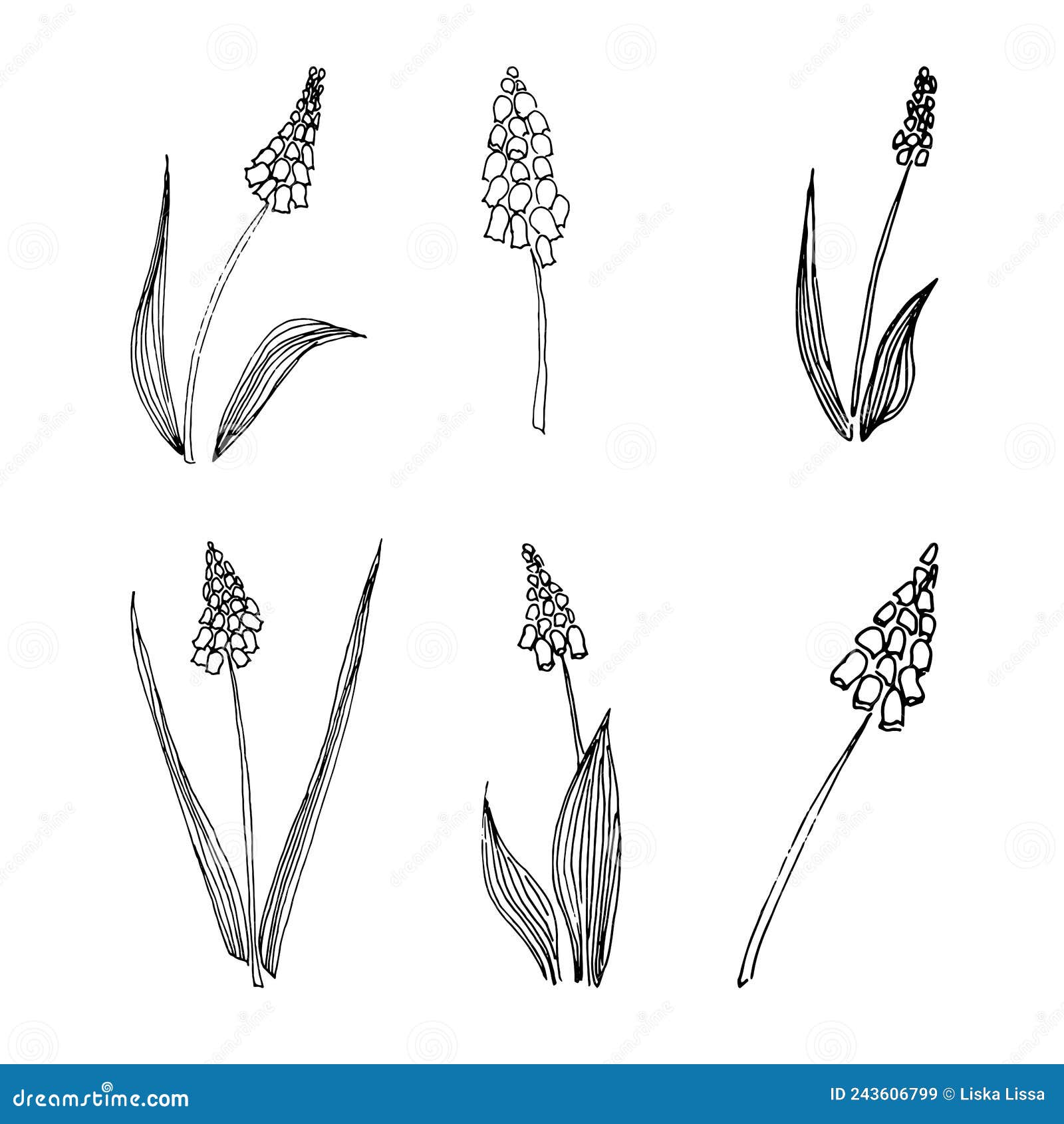 Hand Drawn Wild Flowers Collection. Stock Illustration - Illustration ...