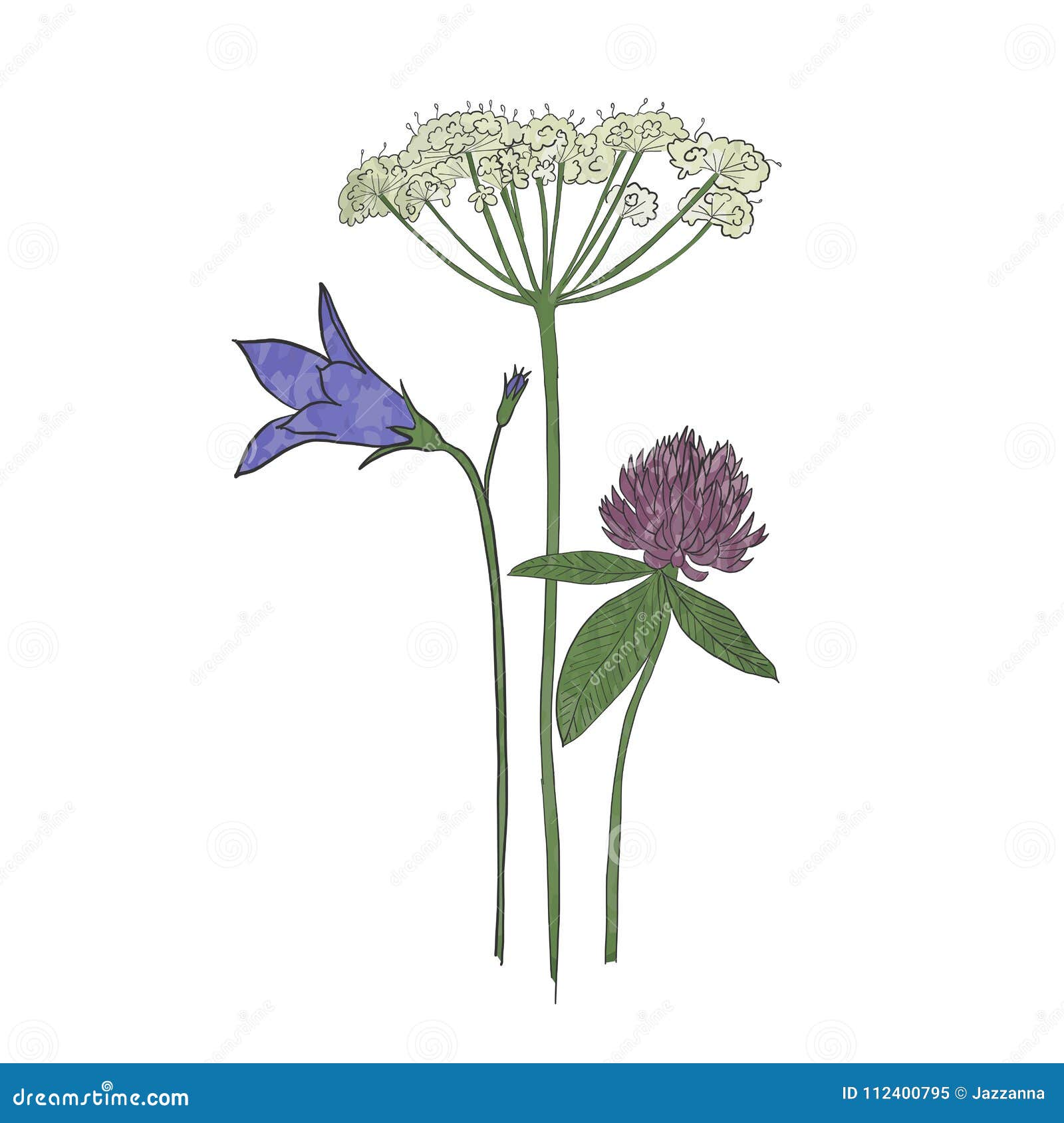 Hand Drawn Wild Flowers In Midsummer Cartoon Vector | CartoonDealer.com ...