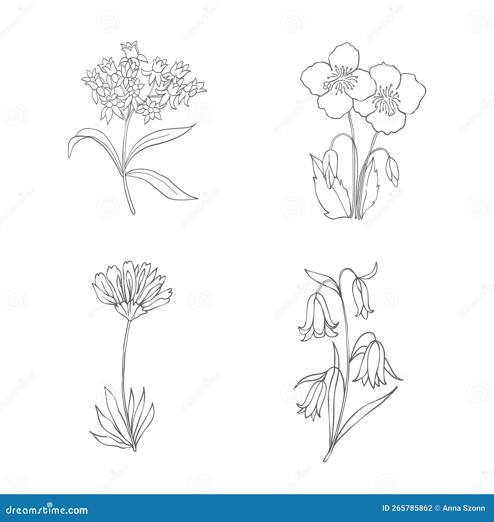 Hand Drawn Wildflowers Set. Stock Vector - Illustration of wildflower ...