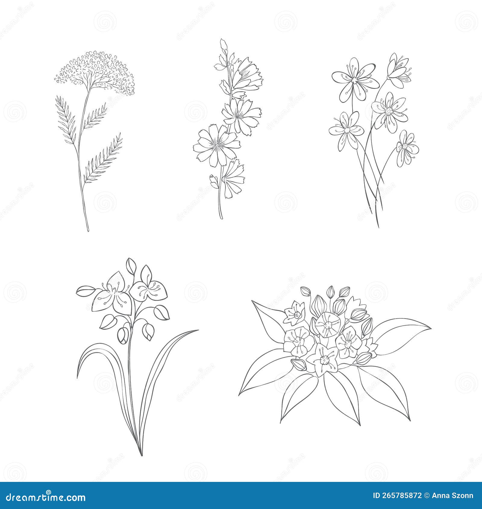 Hand Drawn Wildflowers Set. Stock Vector - Illustration of wild, branch ...