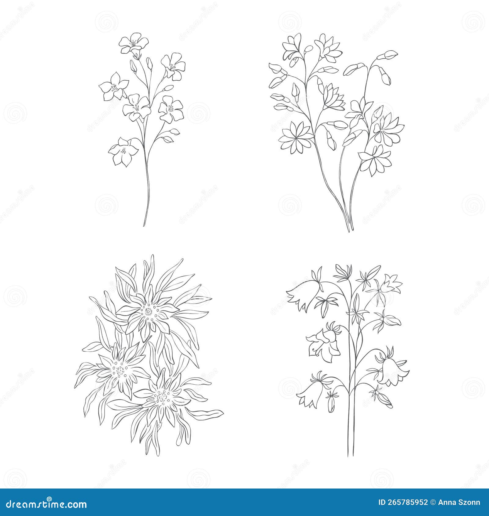 Hand Drawn Wildflowers Set. Stock Illustration - Illustration of vector ...
