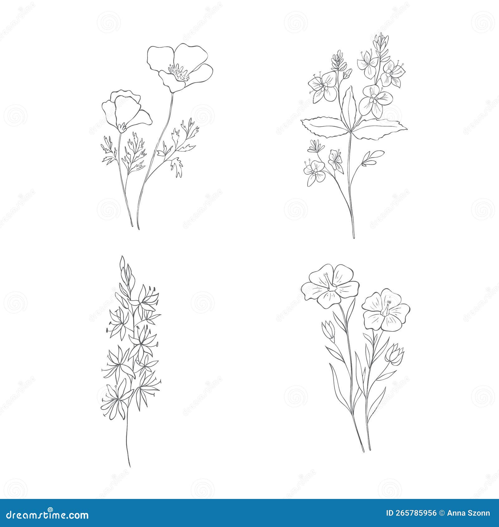 Hand Drawn Wildflowers Set. Stock Illustration - Illustration of nature ...