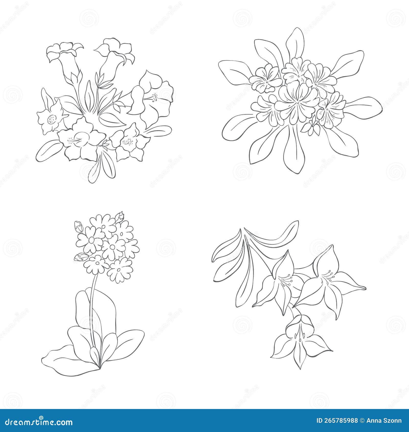 Hand Drawn Wildflowers Set. Stock Illustration - Illustration of floral ...