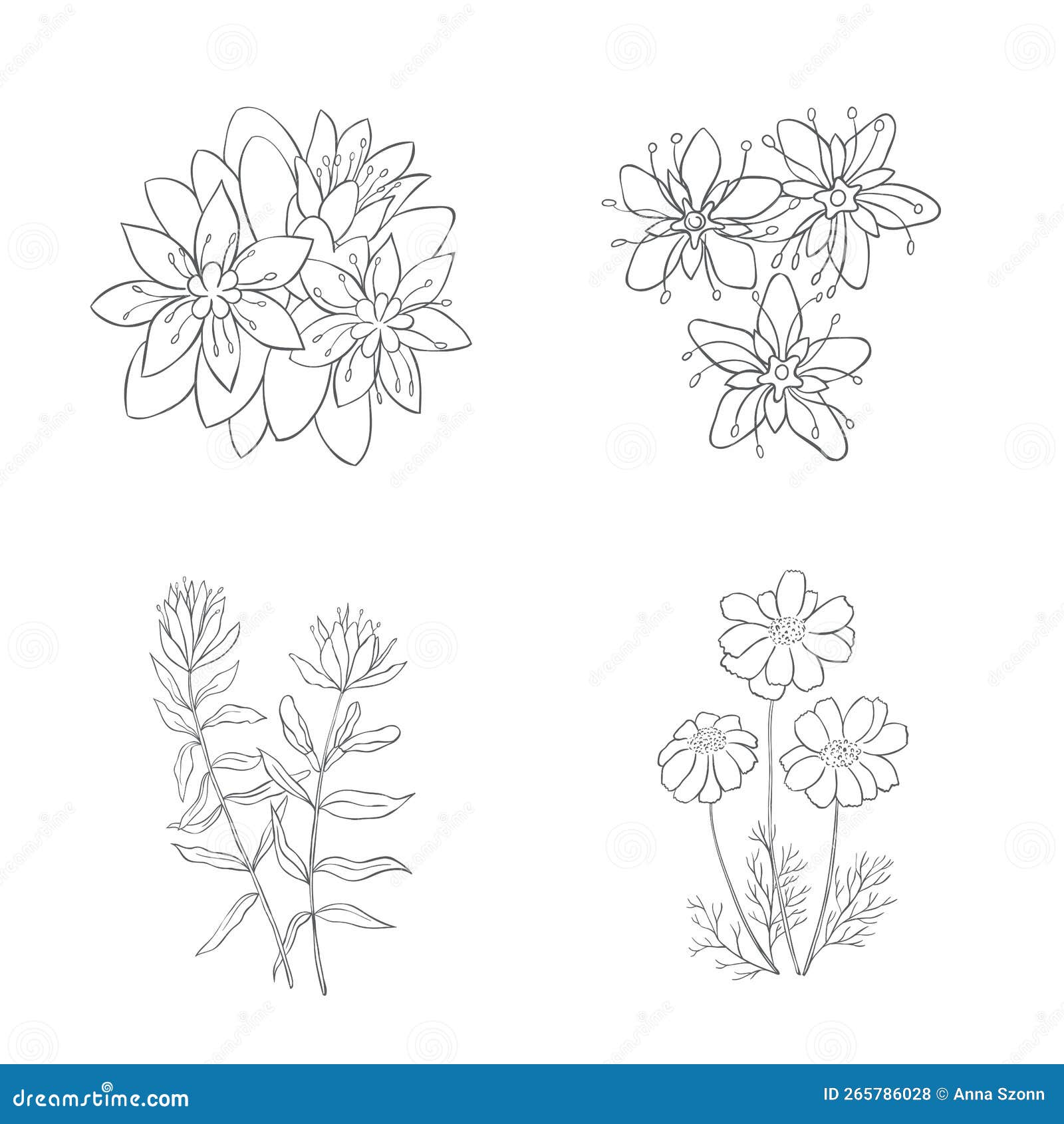 Hand Drawn Wildflowers Set. Stock Vector - Illustration of wild, tattoo ...