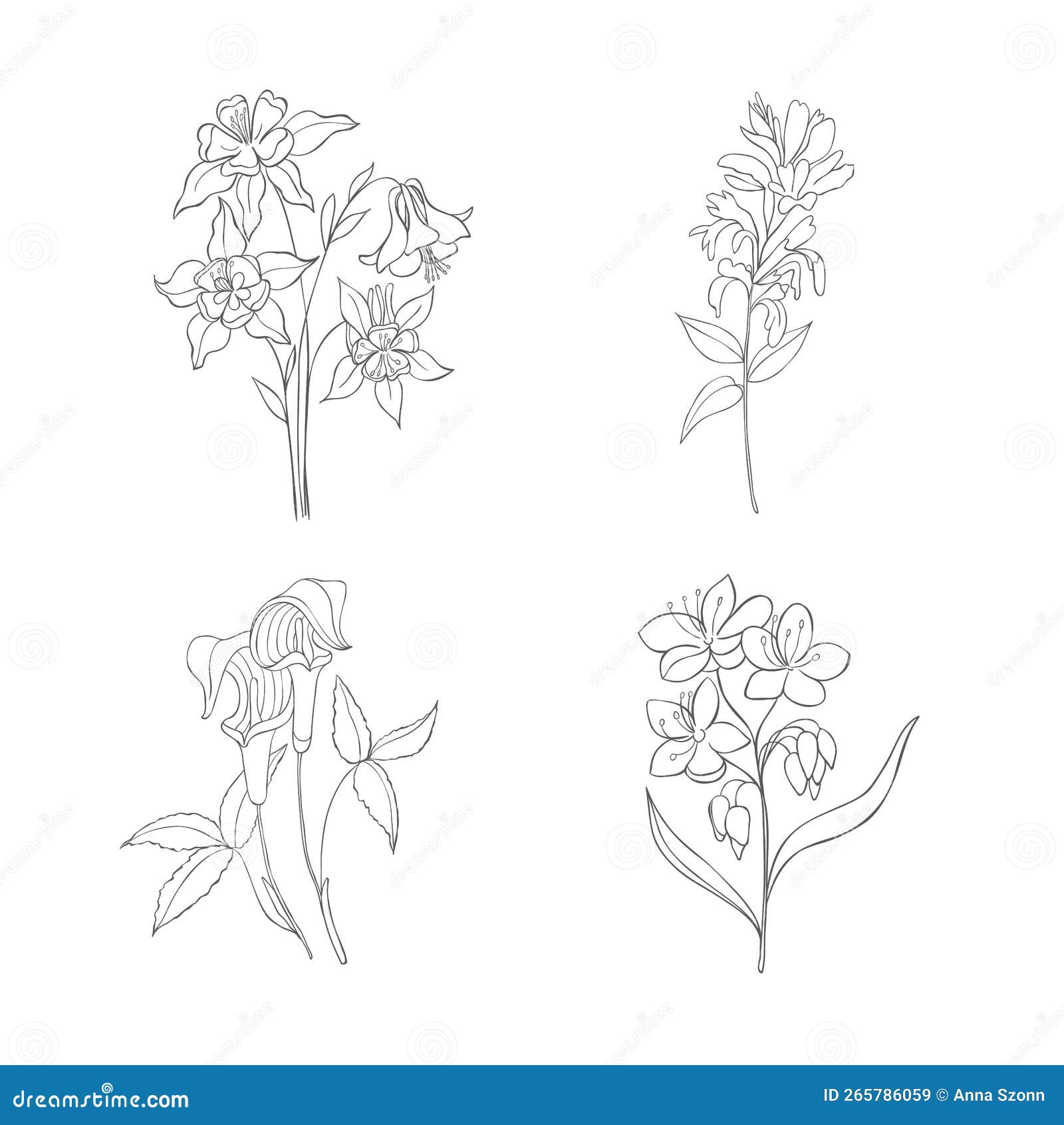 Hand Drawn Wildflowers Set. Stock Illustration - Illustration of branch ...