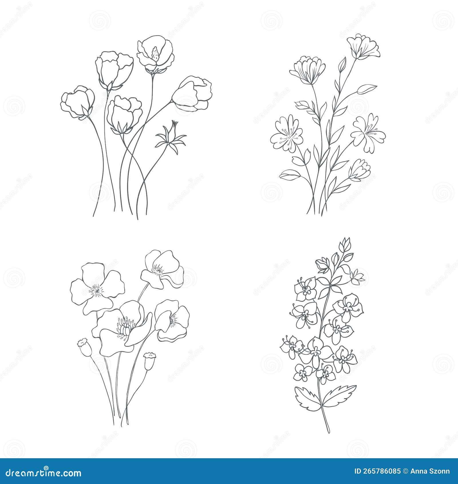 Hand Drawn Wildflowers Set. Stock Illustration - Illustration of leaf ...