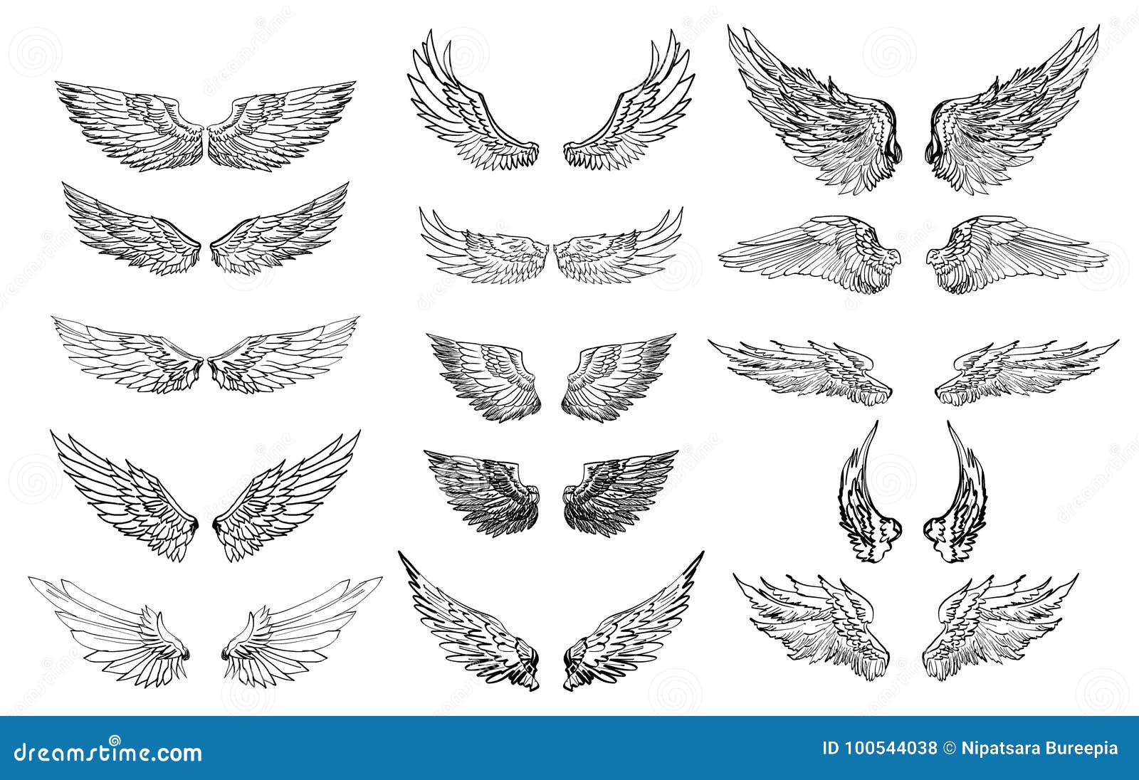 Hand Drawn Wing Vector Set. Colorful Sticker Wing Tattoo Stock Vector ... Hand Drawn Wing Vector Set. Colorful Sticker Wing Tattoo Stock Vector ...