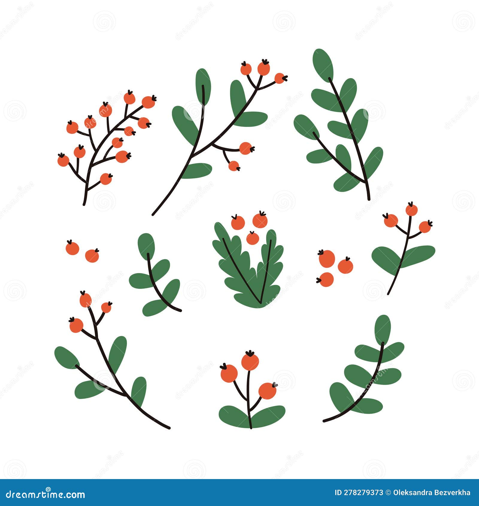 Hand Drawn Winter Branches and Leaves. Vector Elements. Stock ...