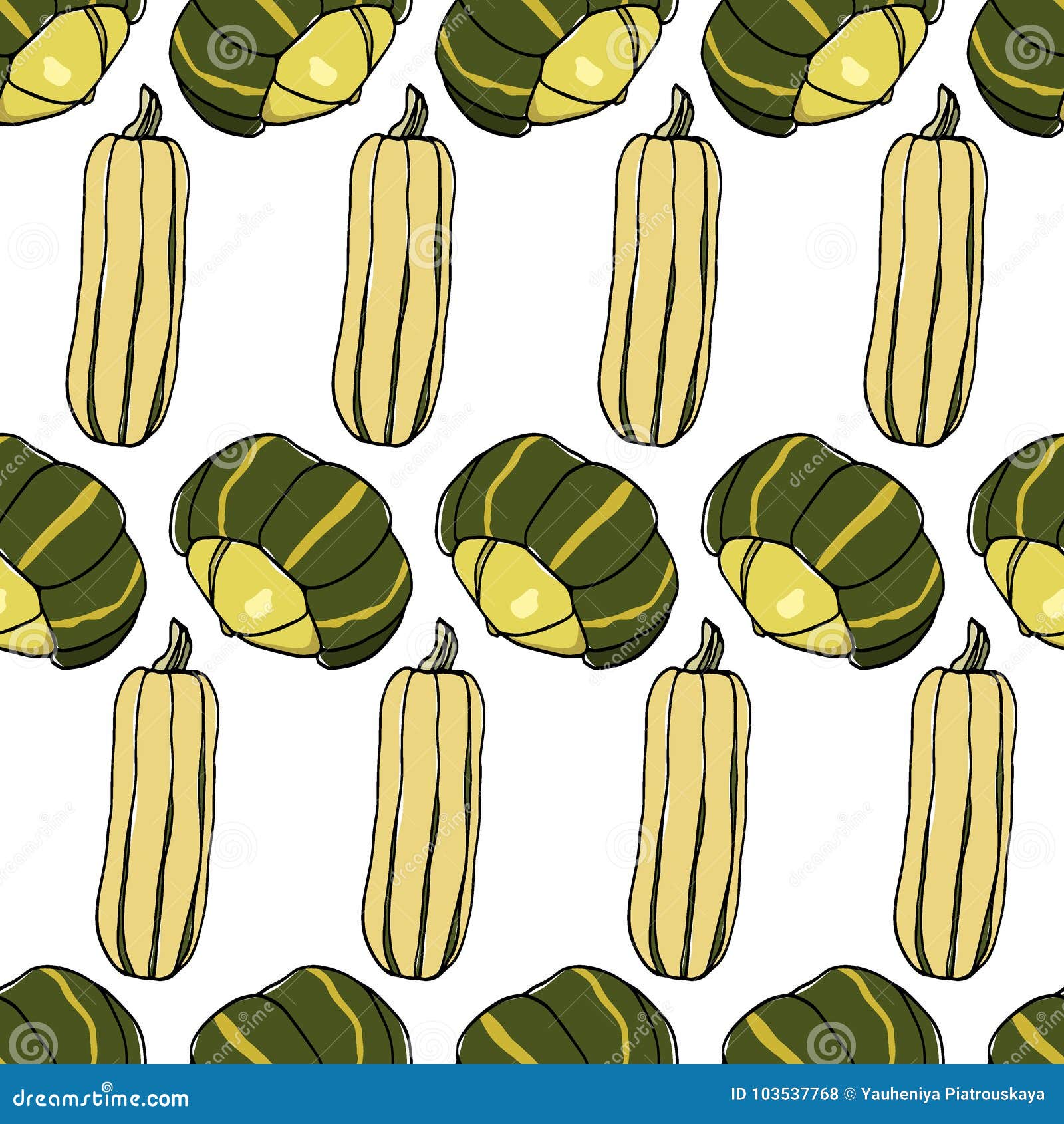 Hand Drawn Winter Squash Pattern Stock Vector - Illustration of healthy ...
