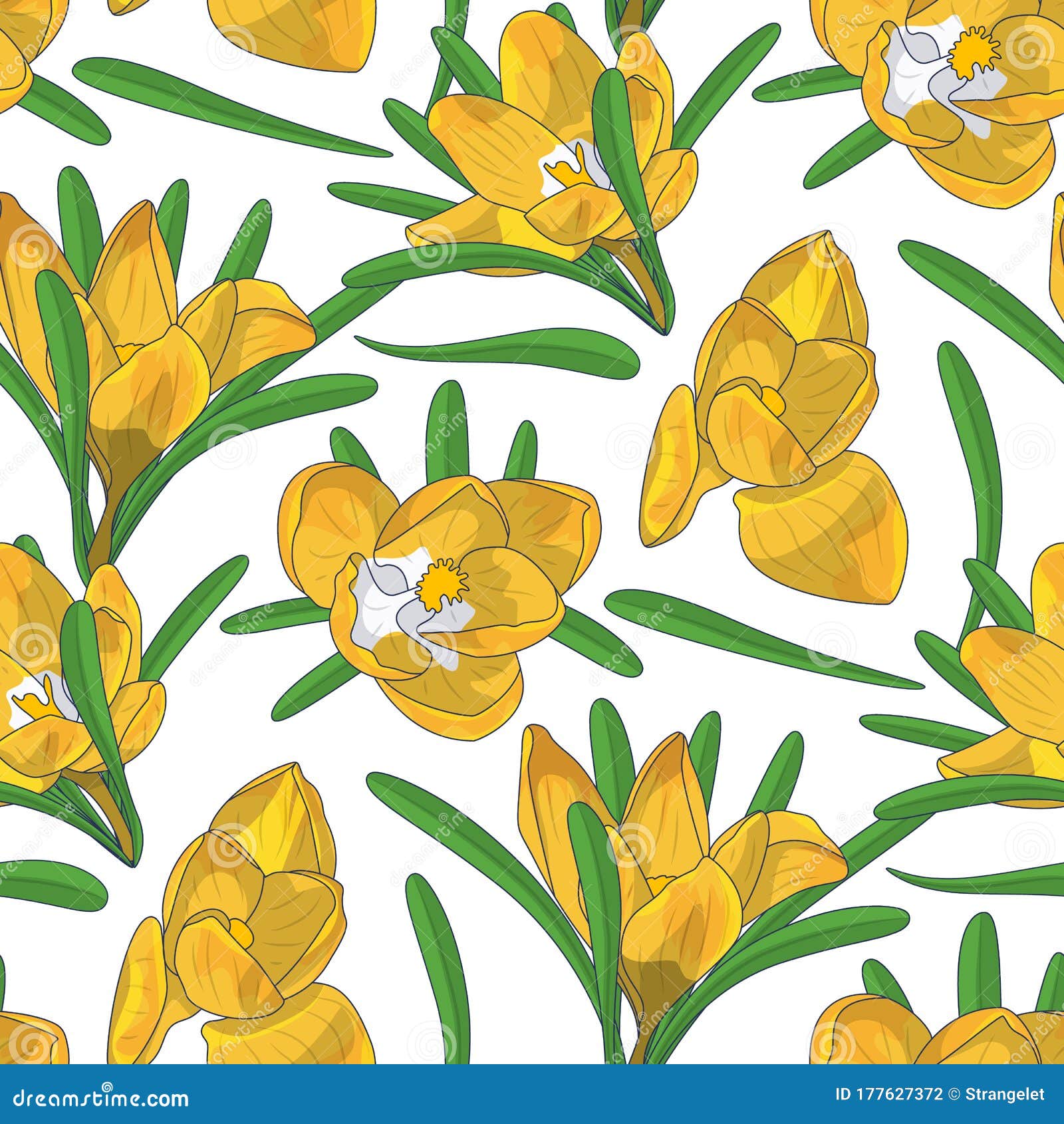 Hand Drawn Yellow Crocus Flowers Seamless Floral Pattern. Vector ...