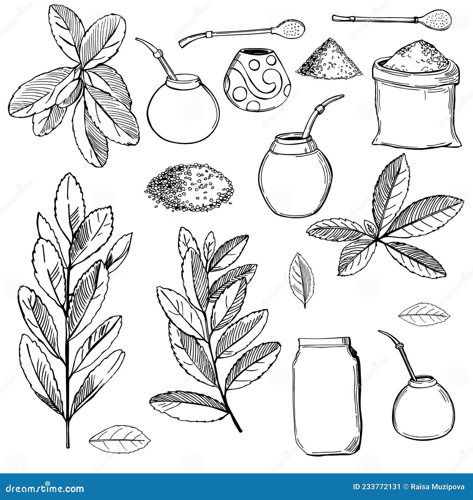 Sketch yerba mate set stock vector. Illustration of brazil - 233772131