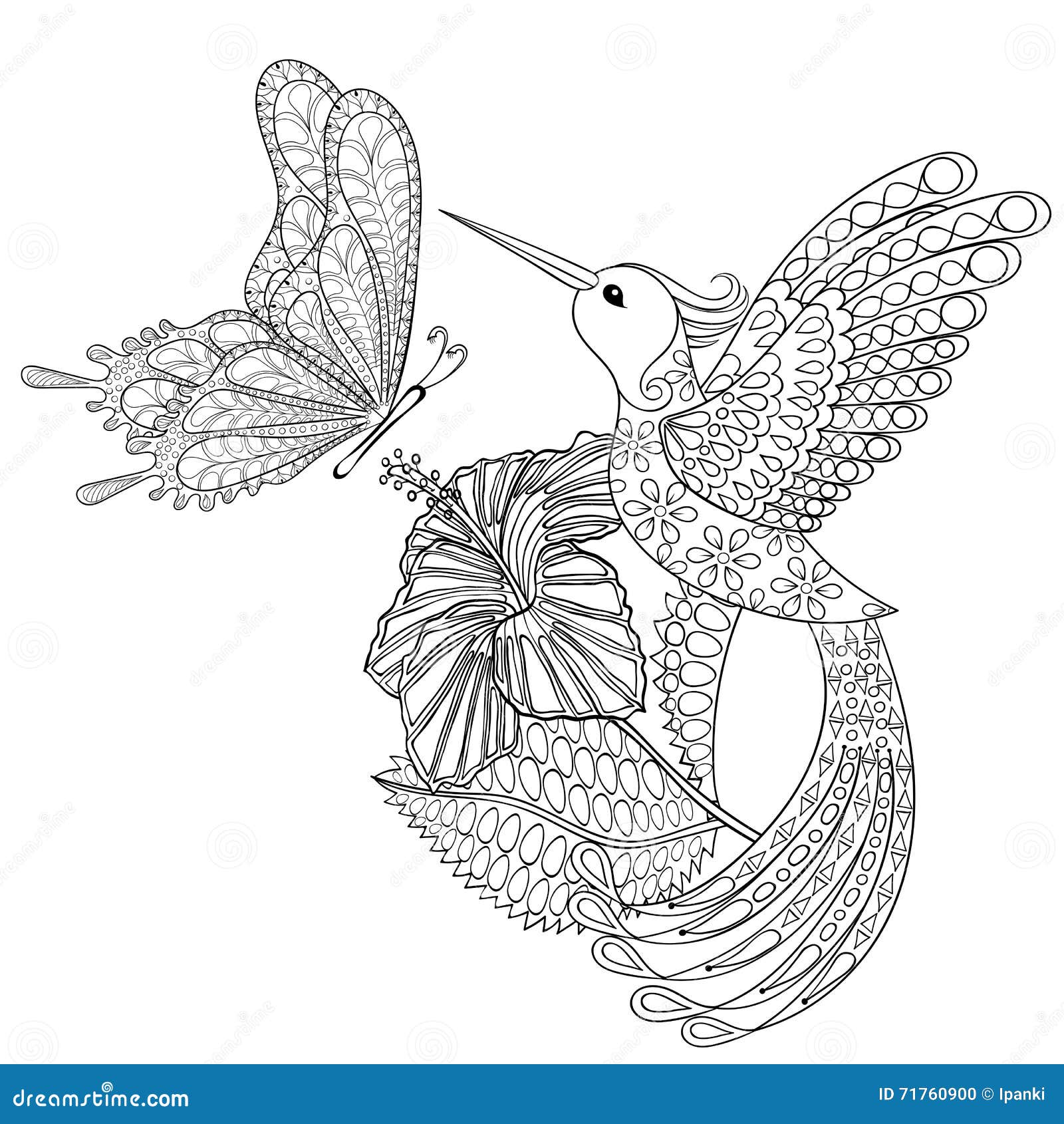 Explore 75 Newest Zentangle Fly Coloring Pages Free To Print And