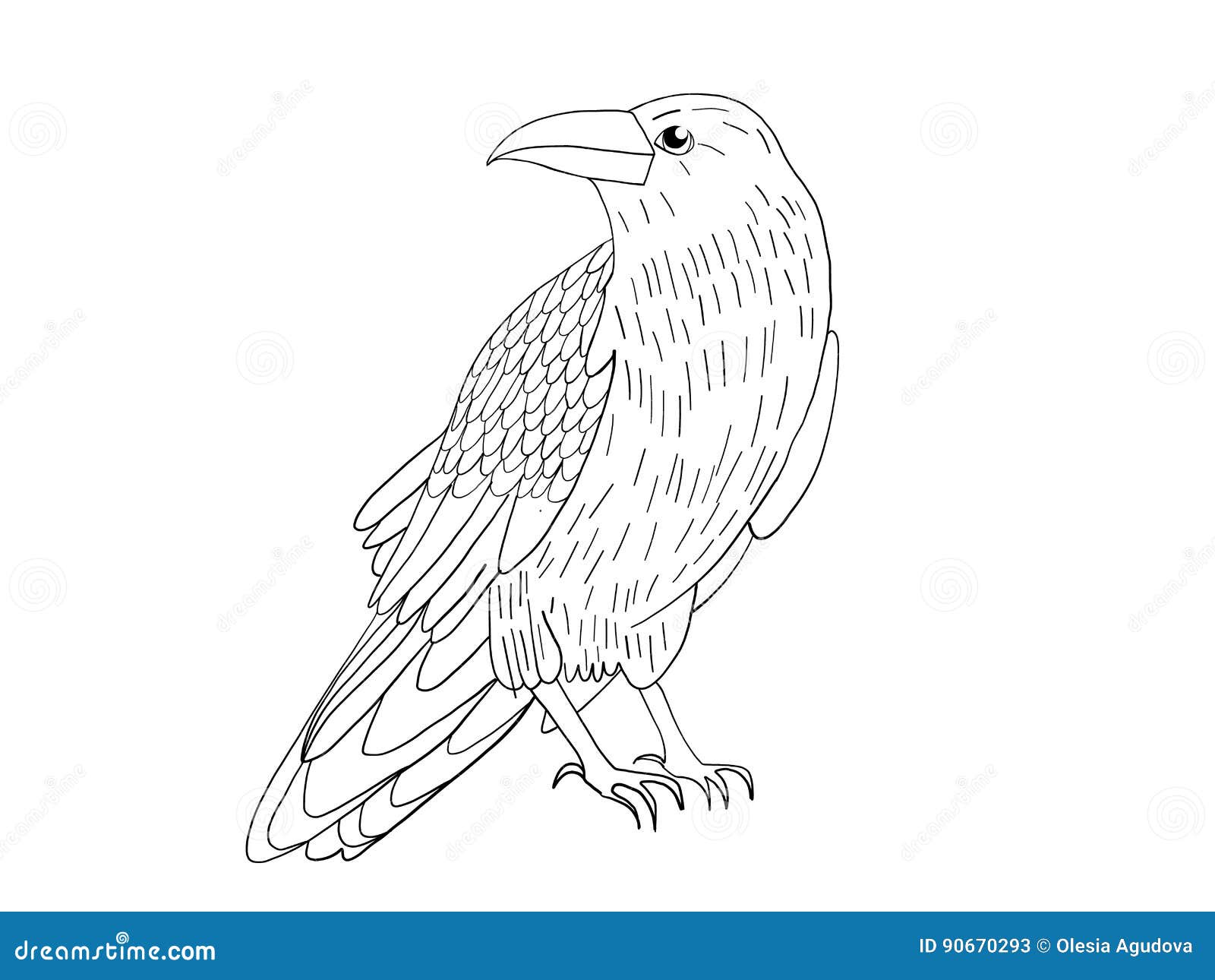 Hand-drawn Zwarte Kraai Raaf, Vogelschets, Vectorillustratie Vector ...