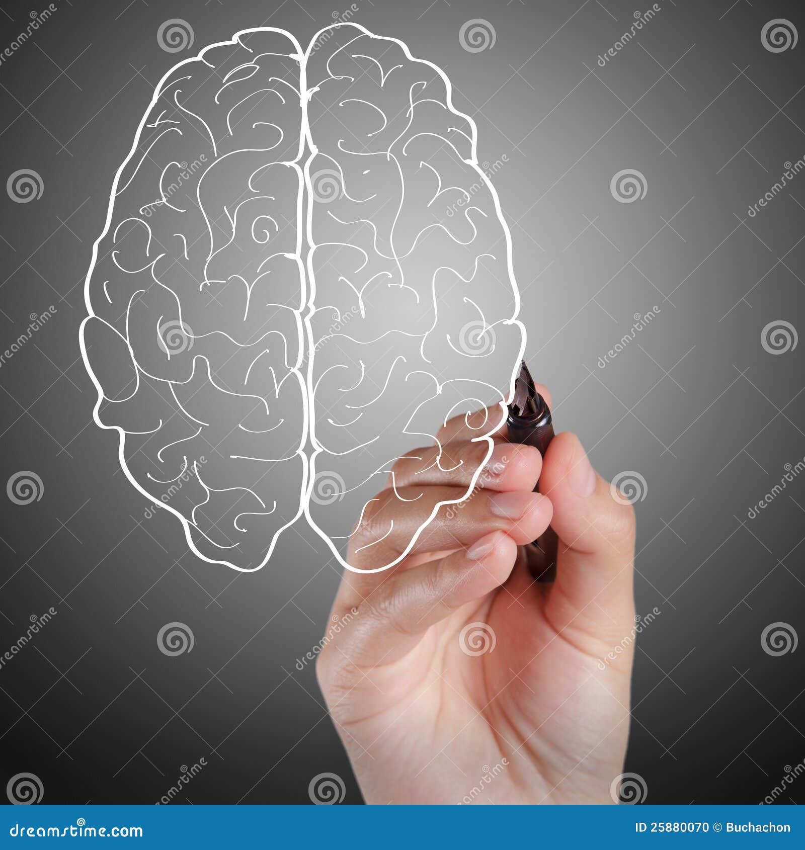 Hand draws brain sign stock photo. Image of neuron, health - 25880070
