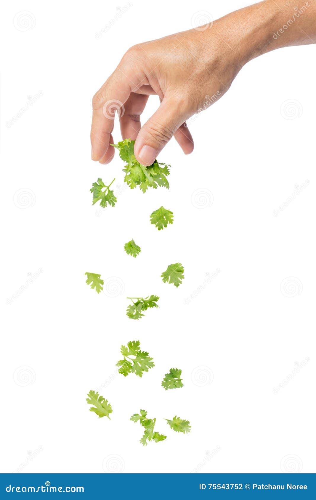 Hand Dropping Sample From Vial Onto Corona Test Cassette - Covid-19 ...